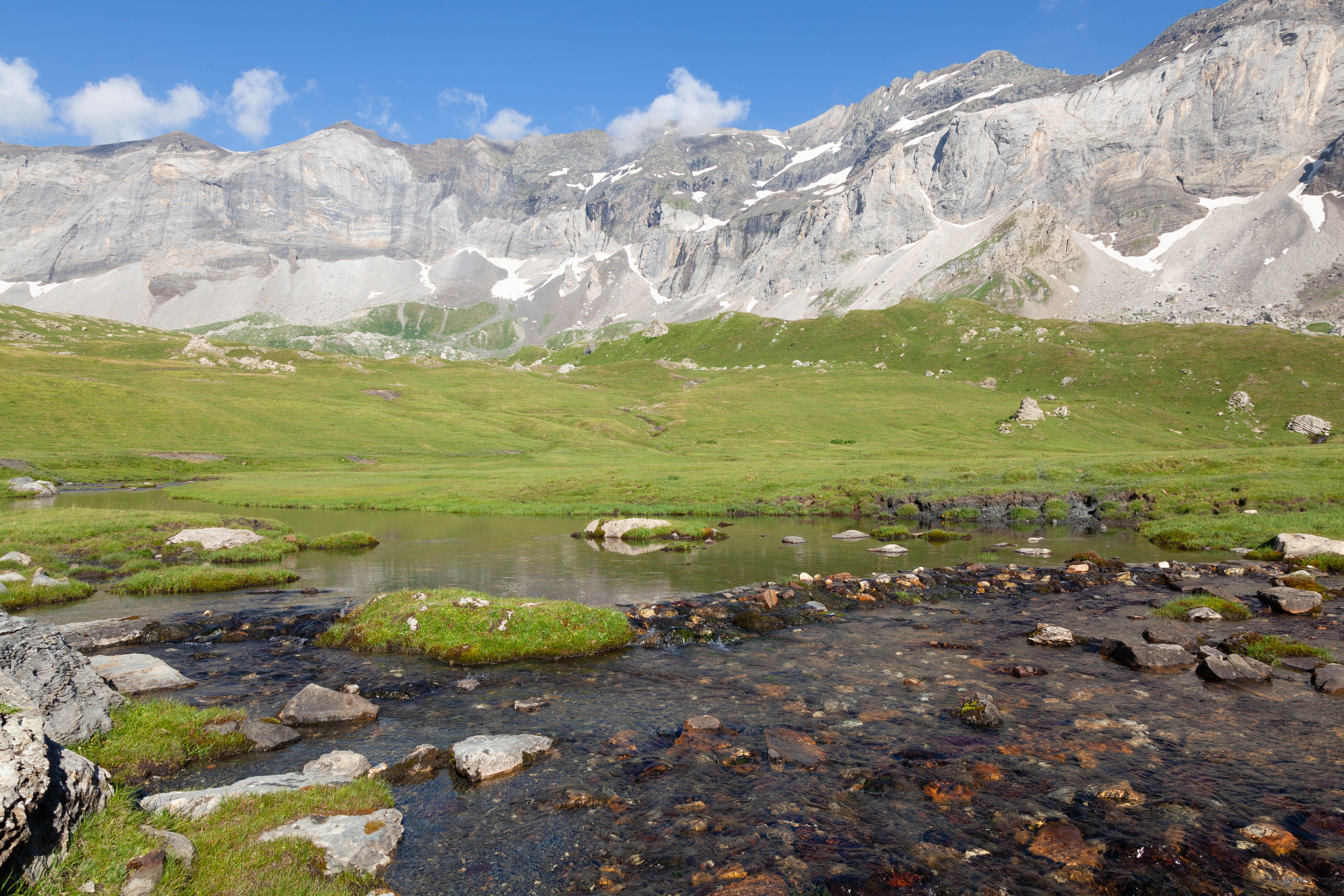 Stream in Valley in Mountains · Free Stock Photo