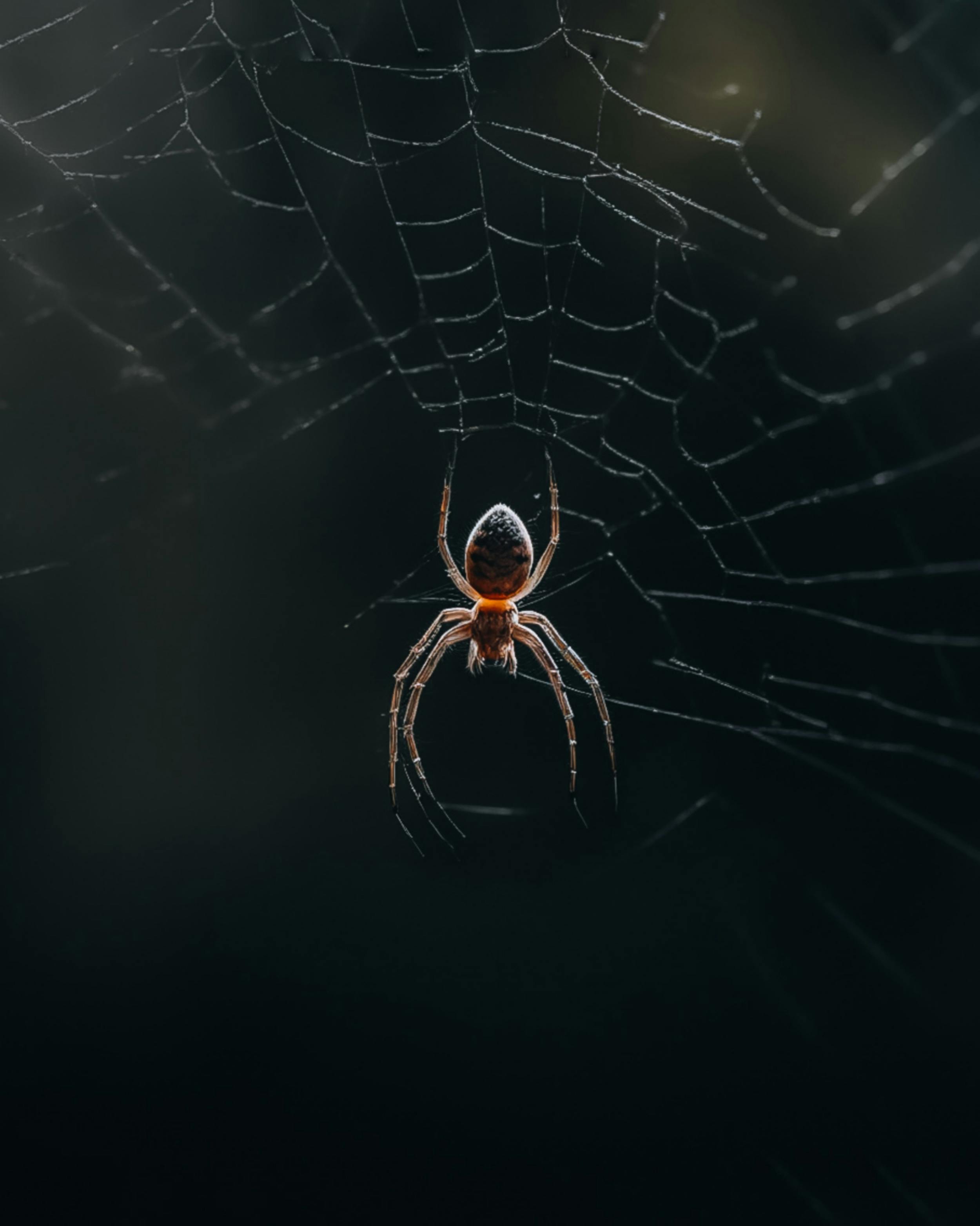 Scary Crack Photos, Download The BEST Free Scary Crack Stock Photos ...