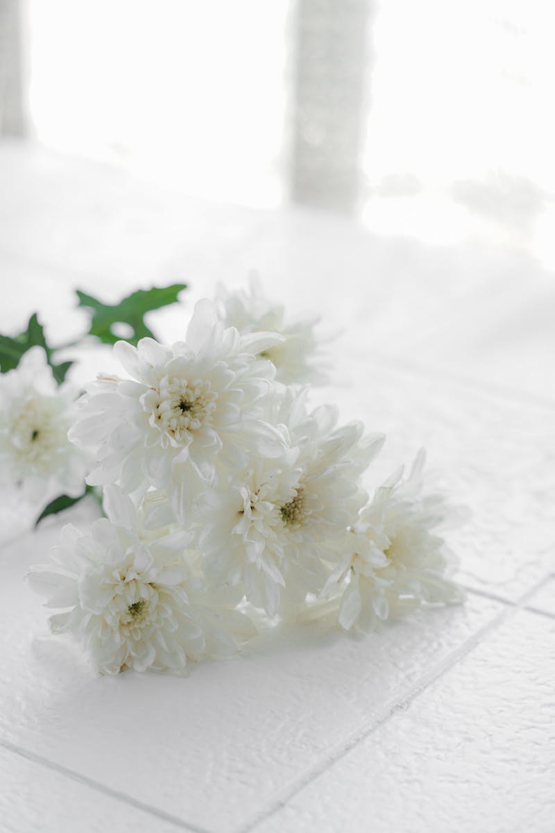 Flowers On Floor And Background Photos, Download The BEST Free Flowers ...