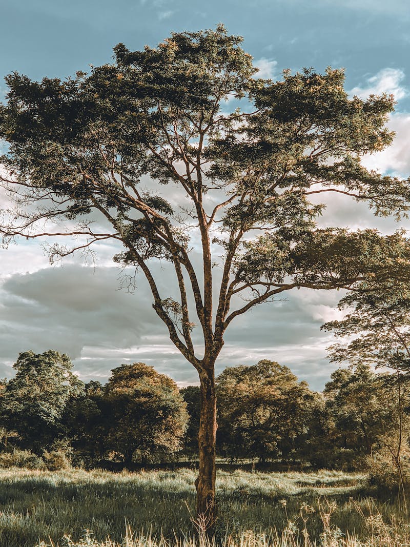 Realistic Photos Photos, Download The BEST Free Realistic Photos Stock ...