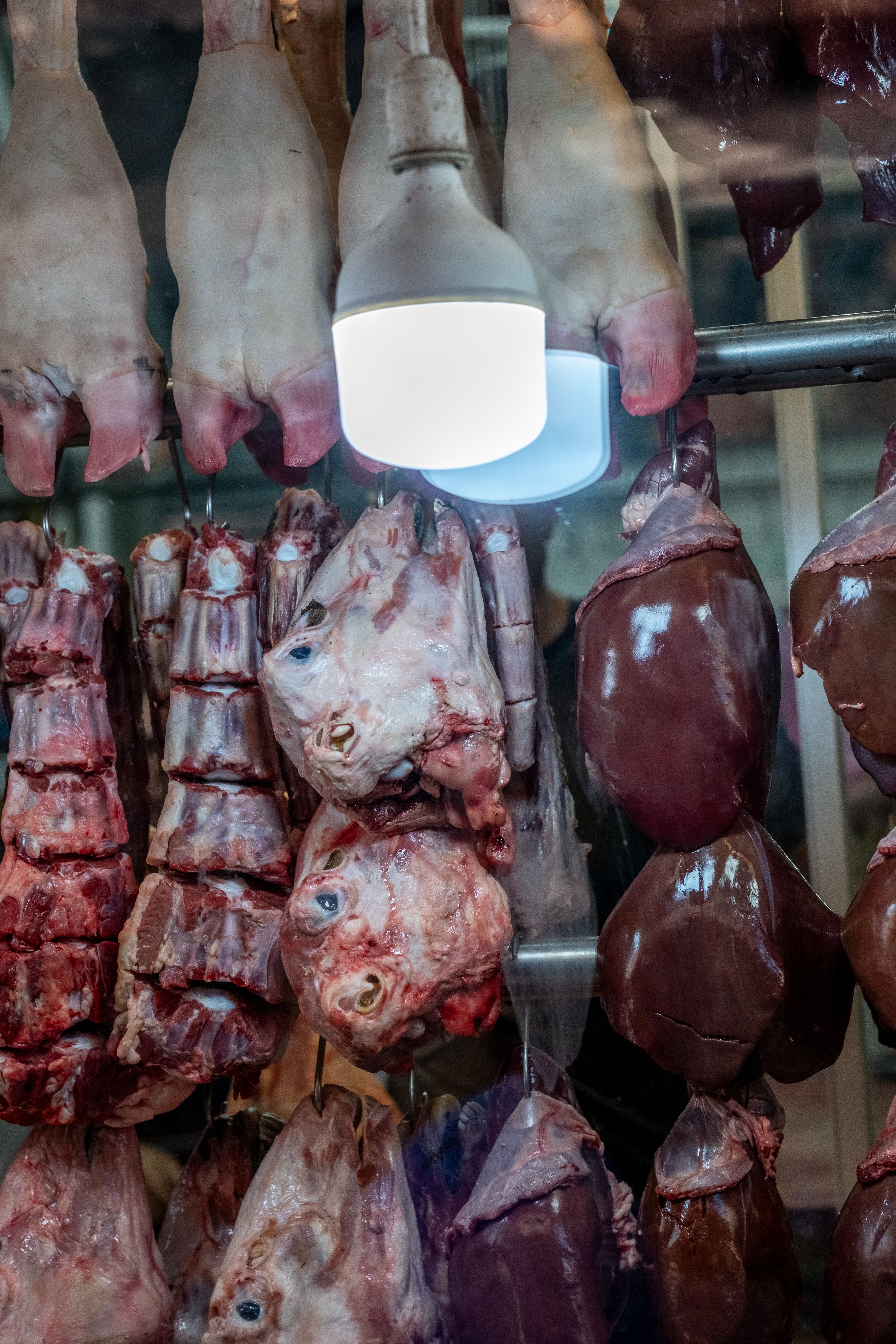 Liver Beef Photos, Download The BEST Free Liver Beef Stock Photos & HD ...