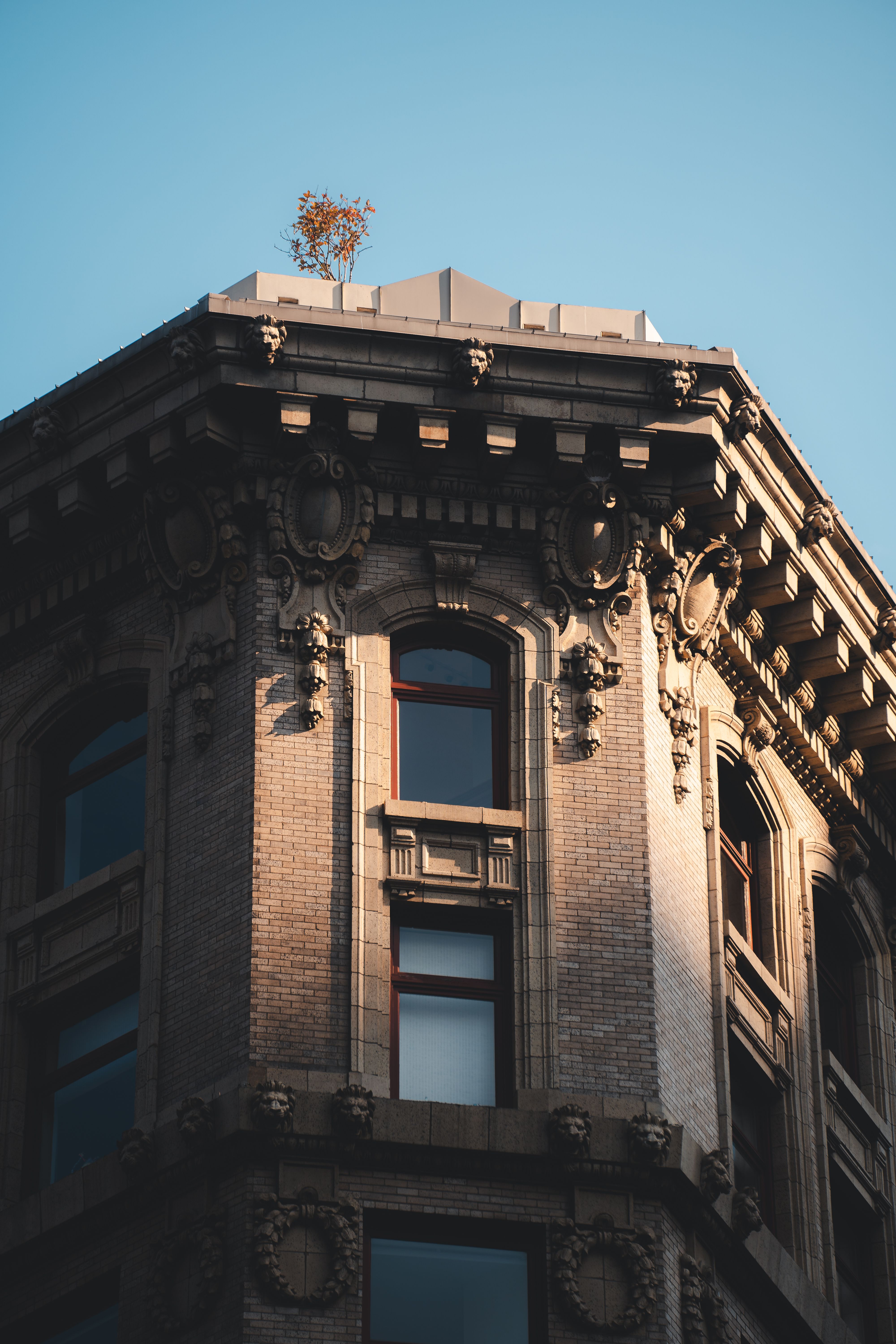 Vintage Building Wall · Free Stock Photo