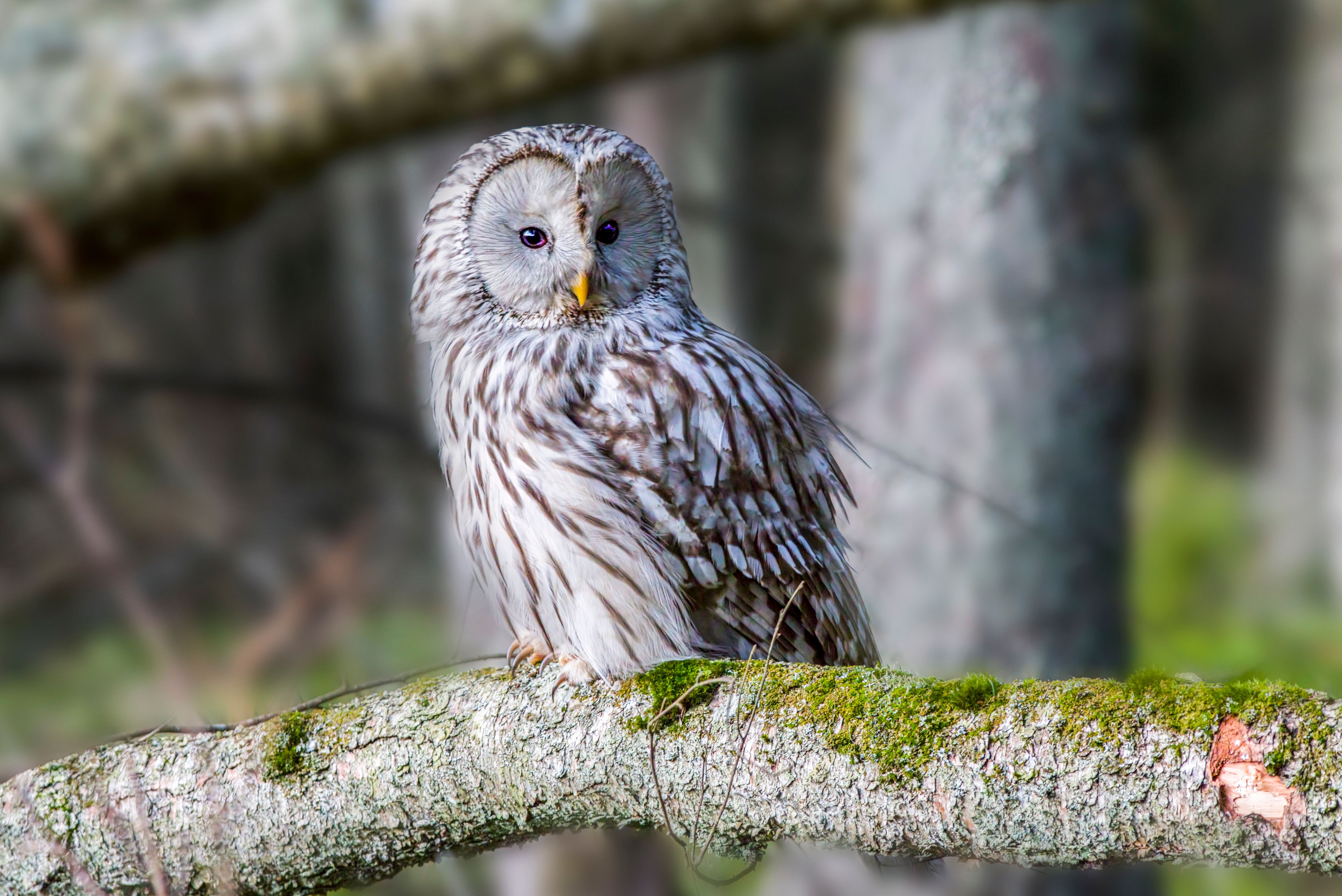 Alert Wallpaper Photos, Download The BEST Free Alert Wallpaper Stock ...