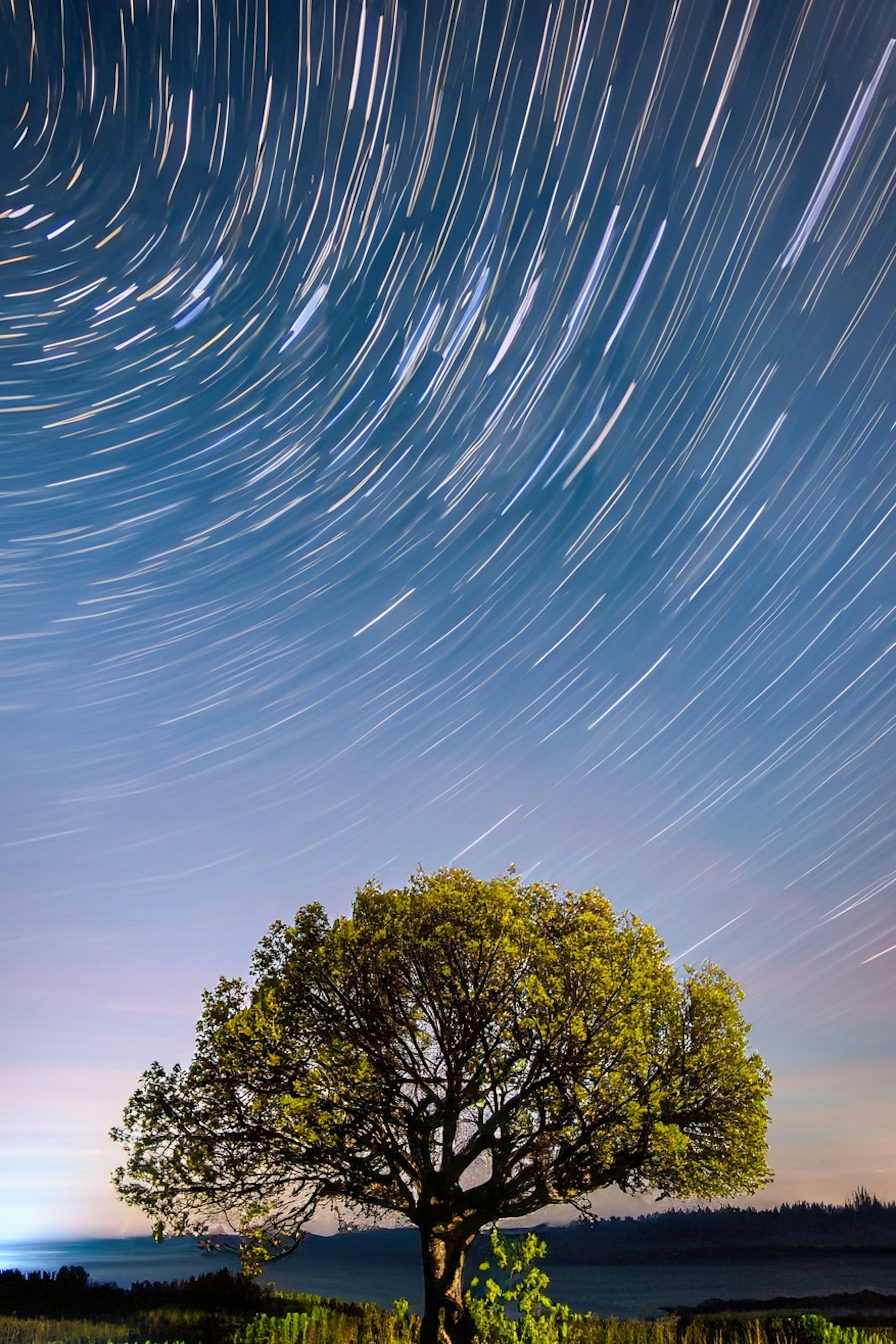 Stars on a Night Sky Photographed in Long Exposure · Free Stock Photo