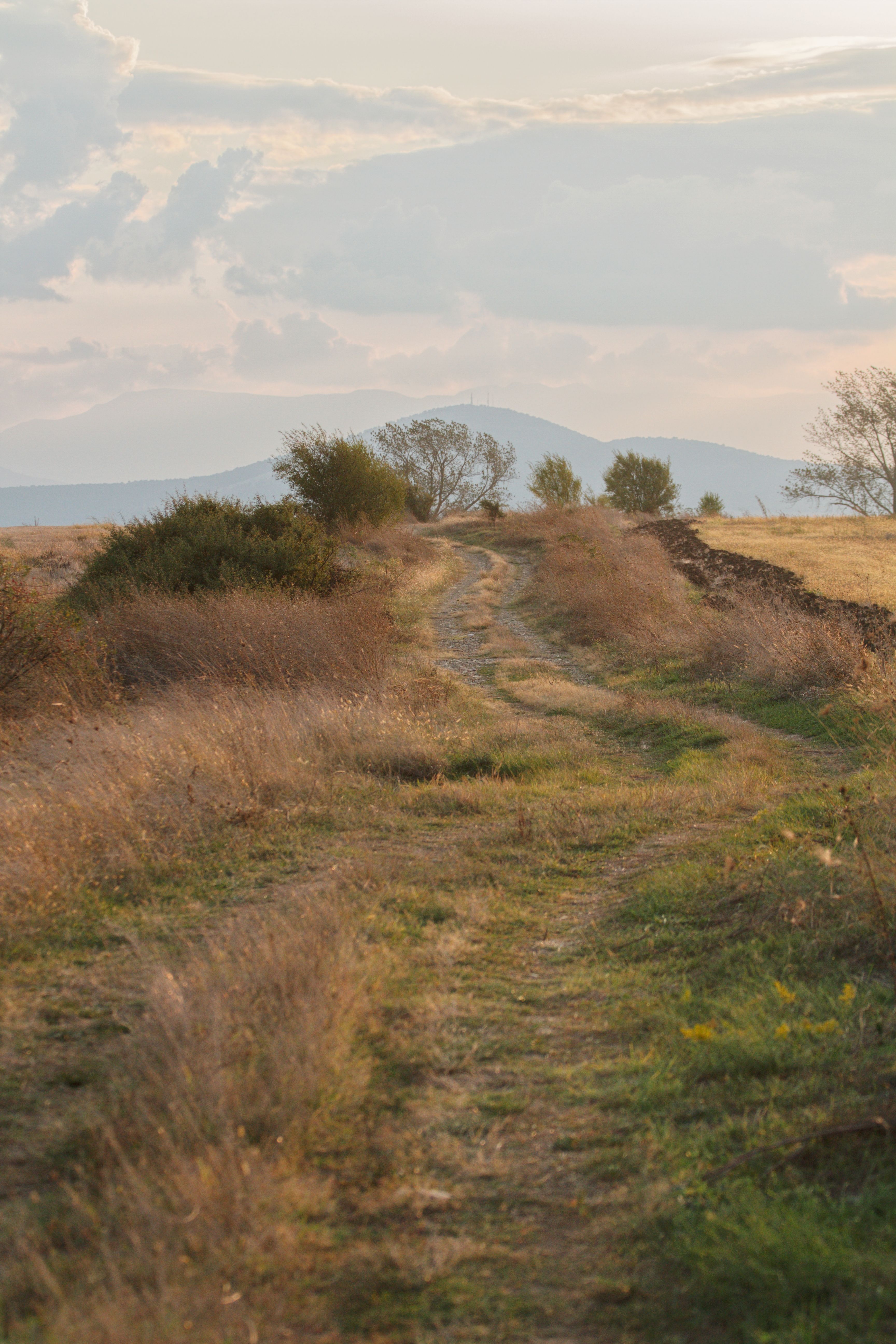 Dirt Road and Rural Fields in Countryside · Free Stock Photo