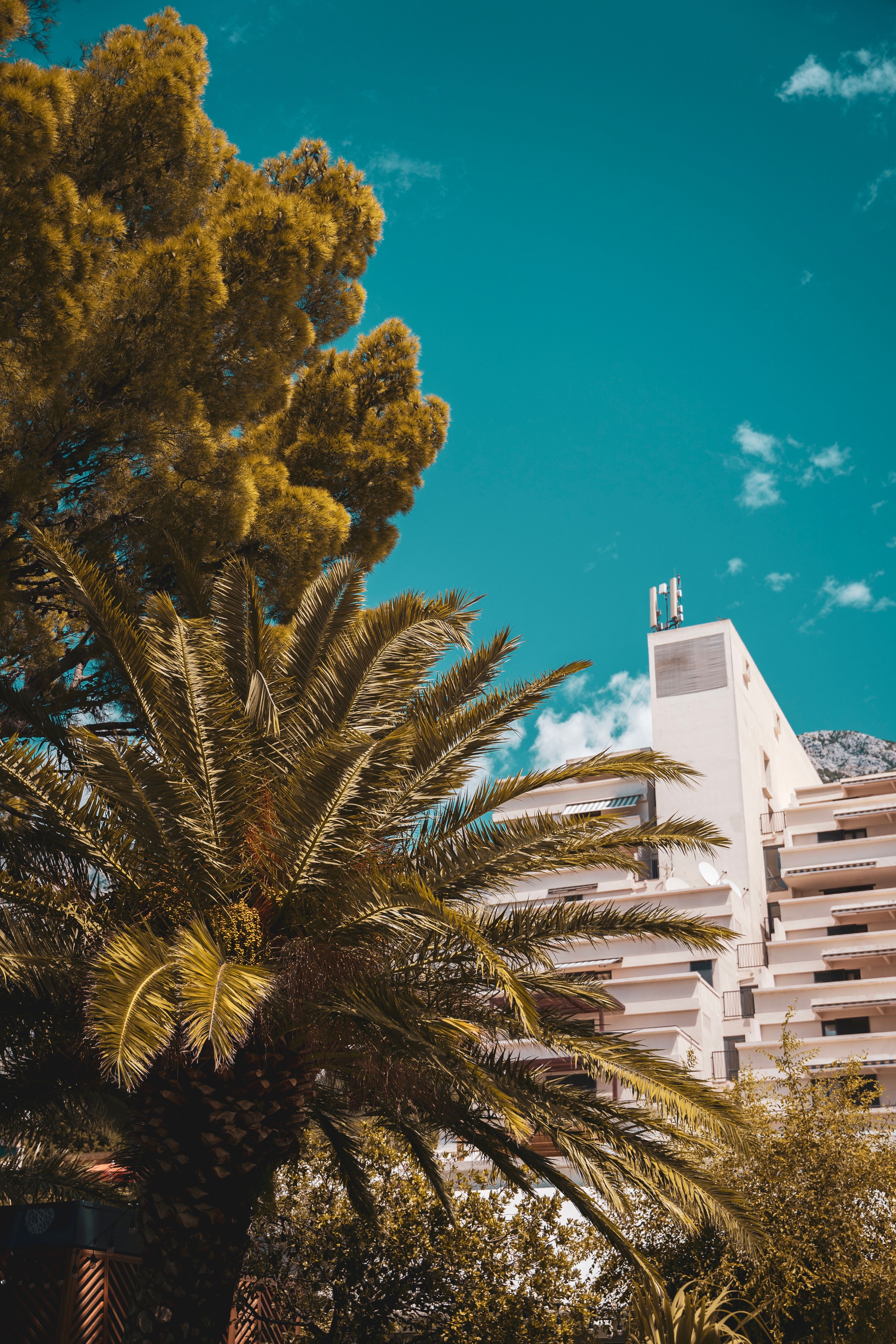 Hotel among Trees · Free Stock Photo
