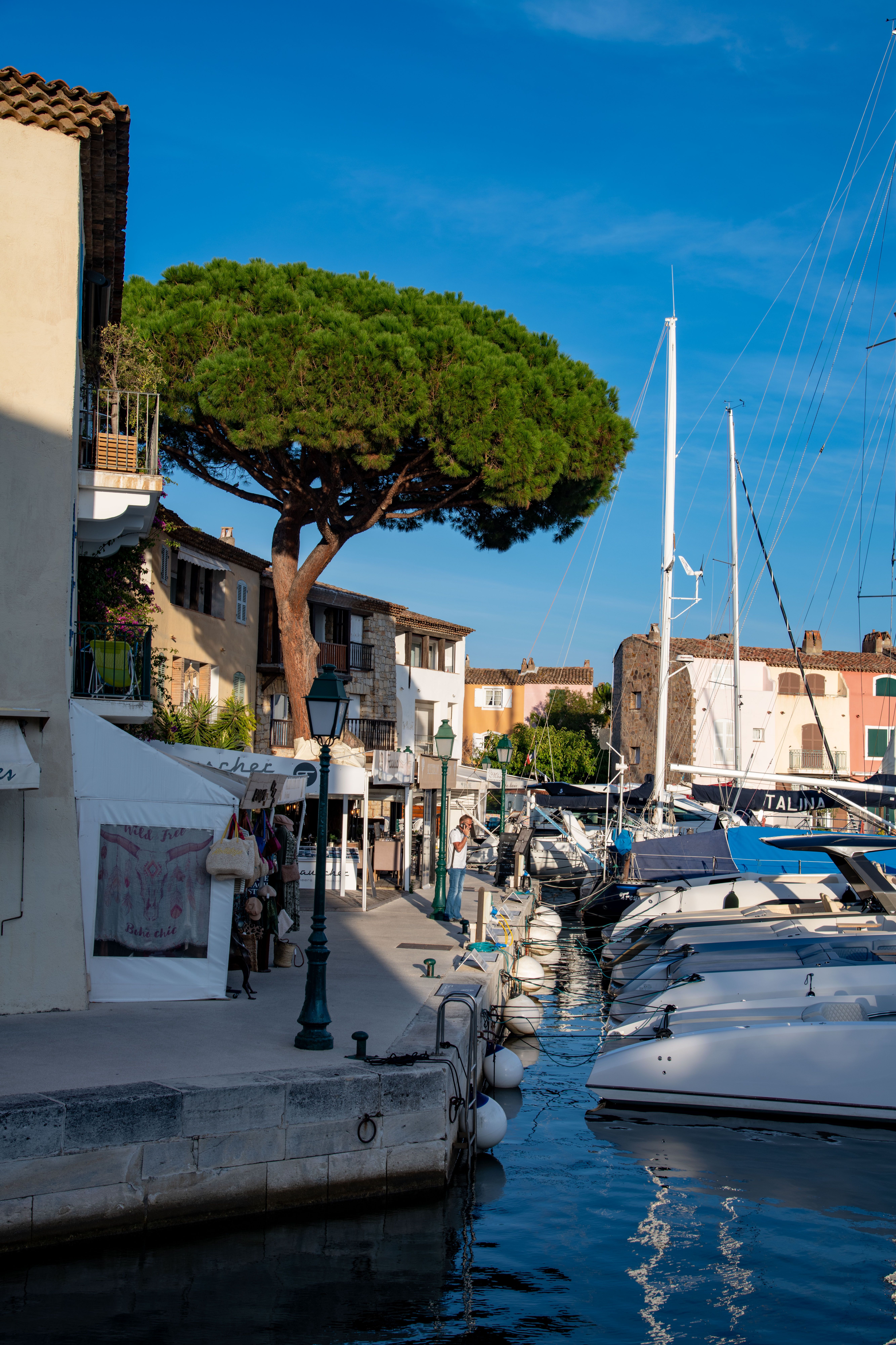 Charming Busy Harbor Surrounded by Houses · Free Stock Photo