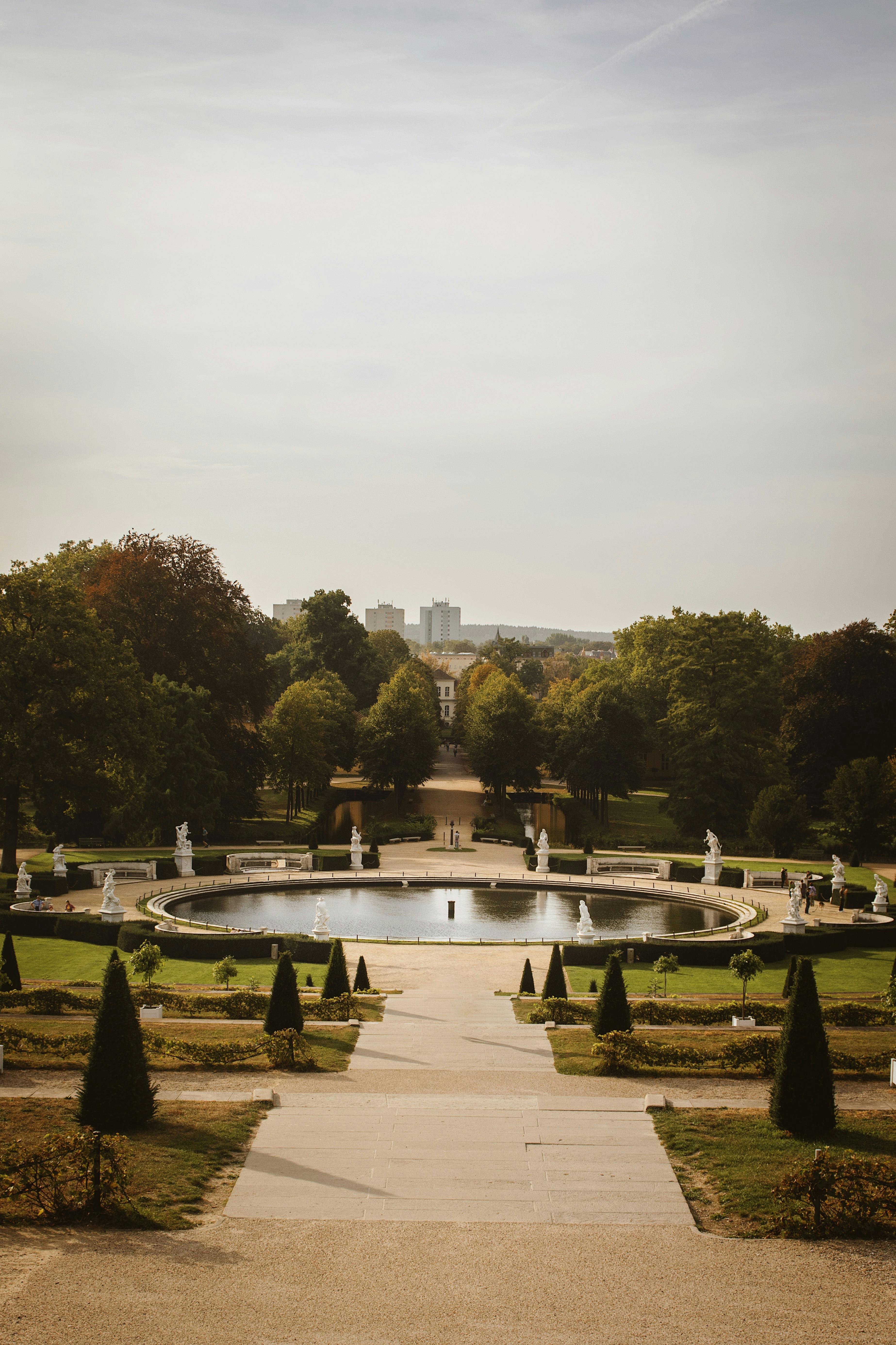 Green Alley with Trees · Free Stock Photo
