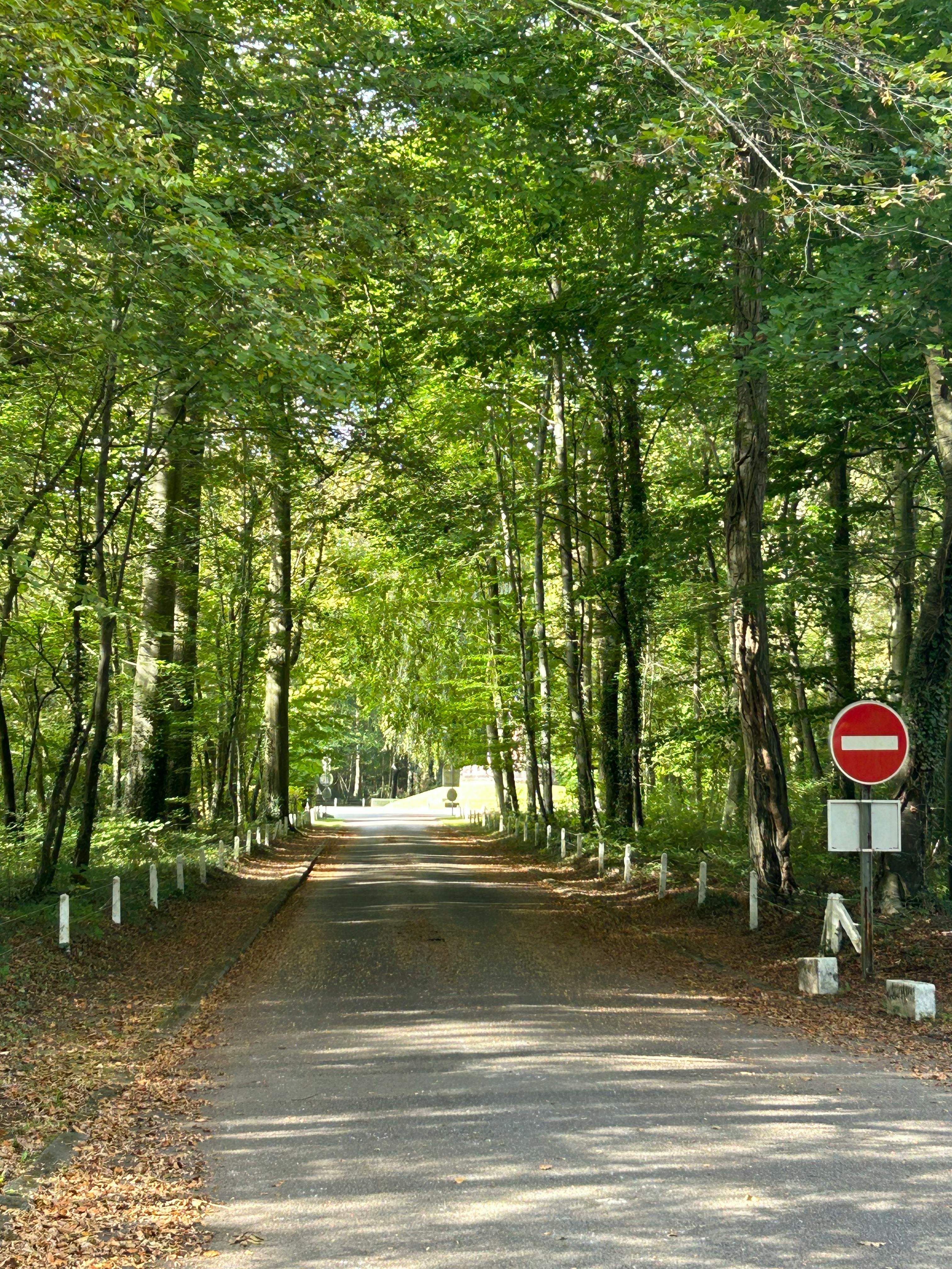 One Way Photos, Download The BEST Free One Way Stock Photos & HD Images