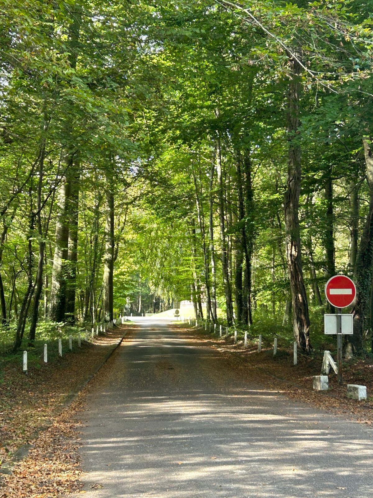 One Way Photos, Download The BEST Free One Way Stock Photos & HD Images