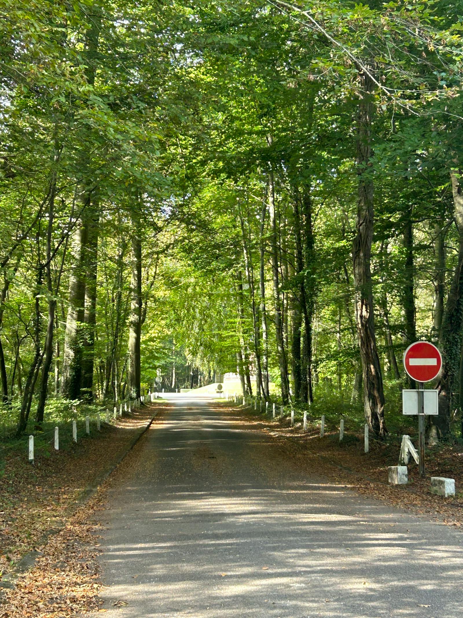 One Way Photos, Download The BEST Free One Way Stock Photos & HD Images