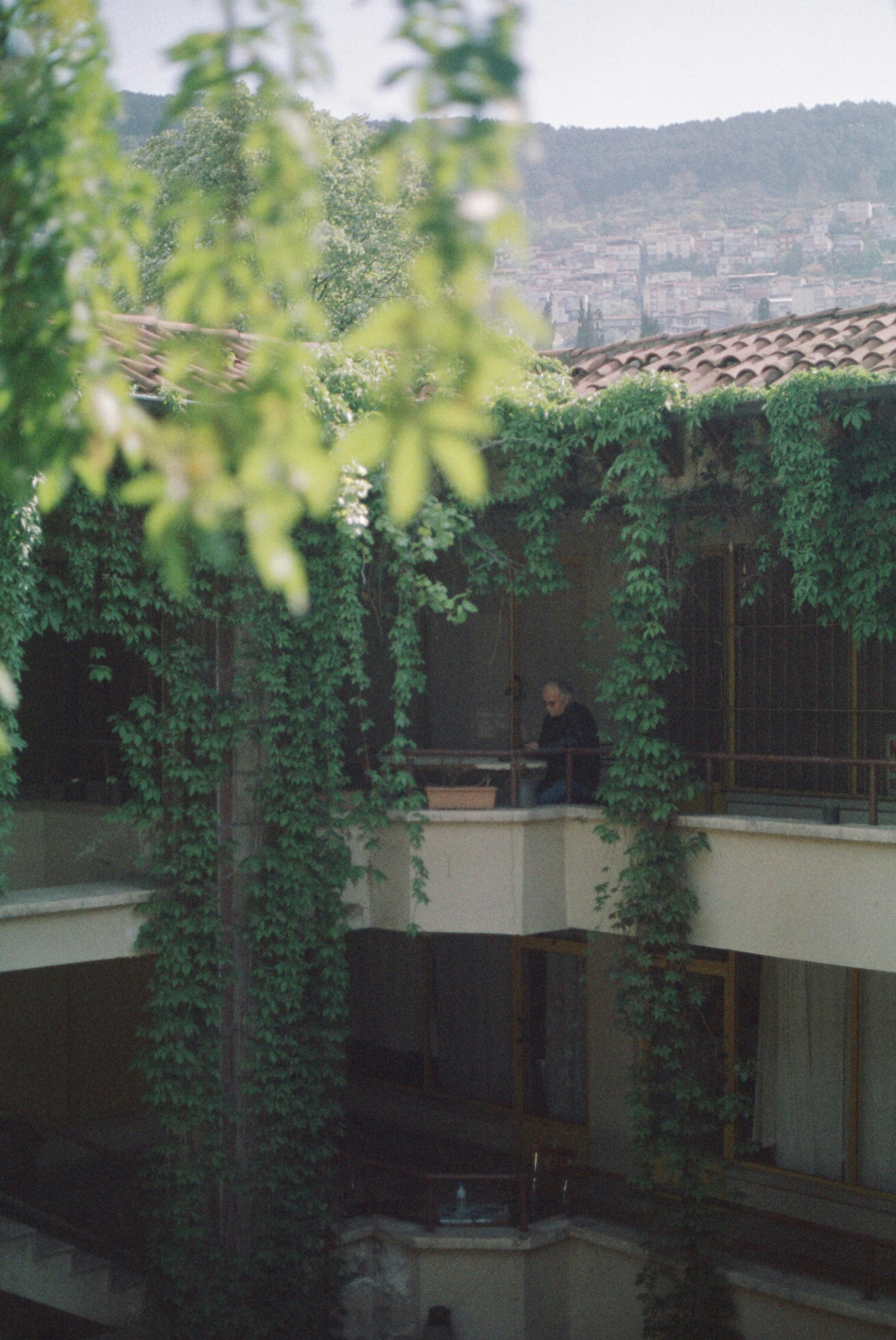 Blue Metal Ladder · Free Stock Photo