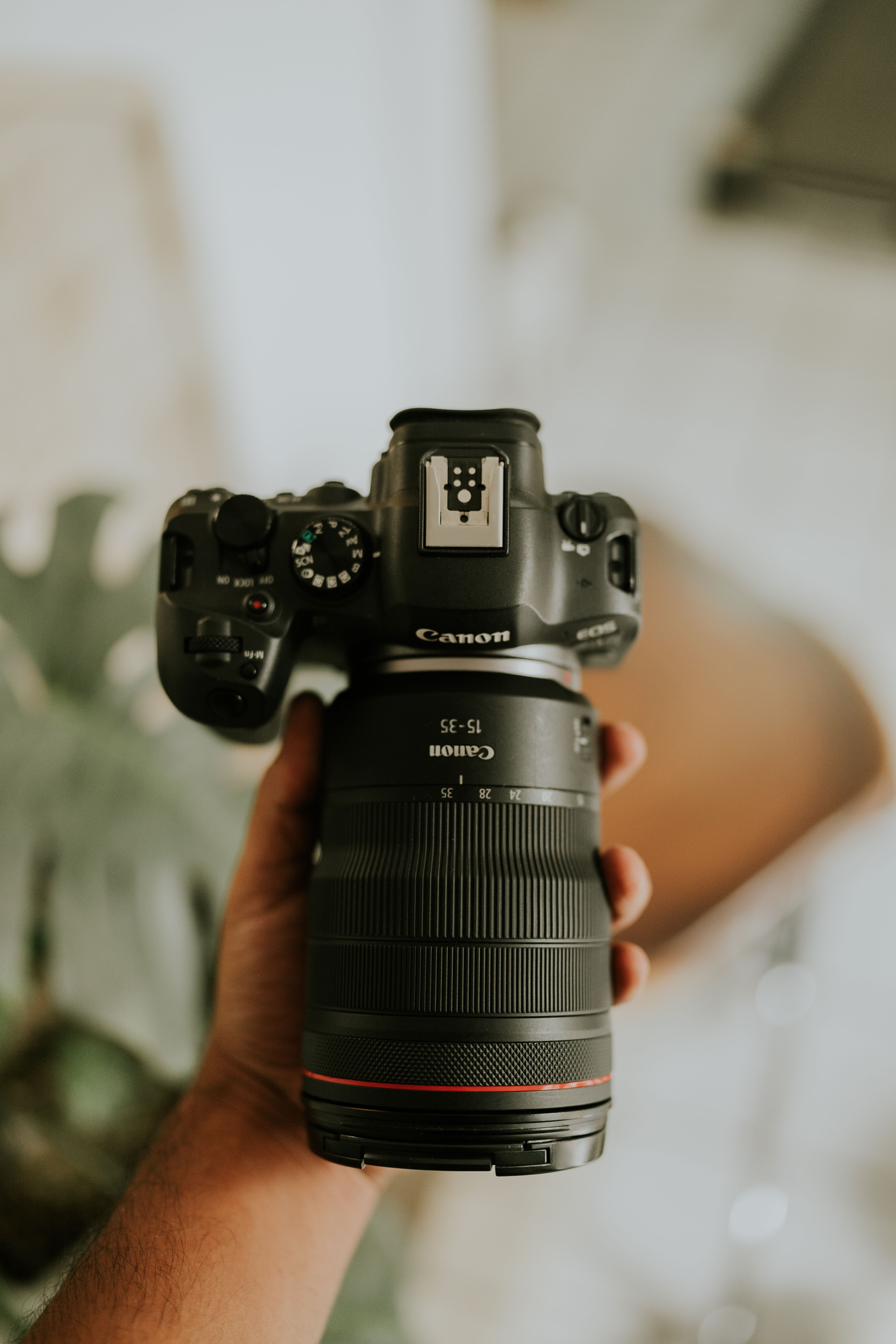 Man Hand Holding Camera · Free Stock Photo