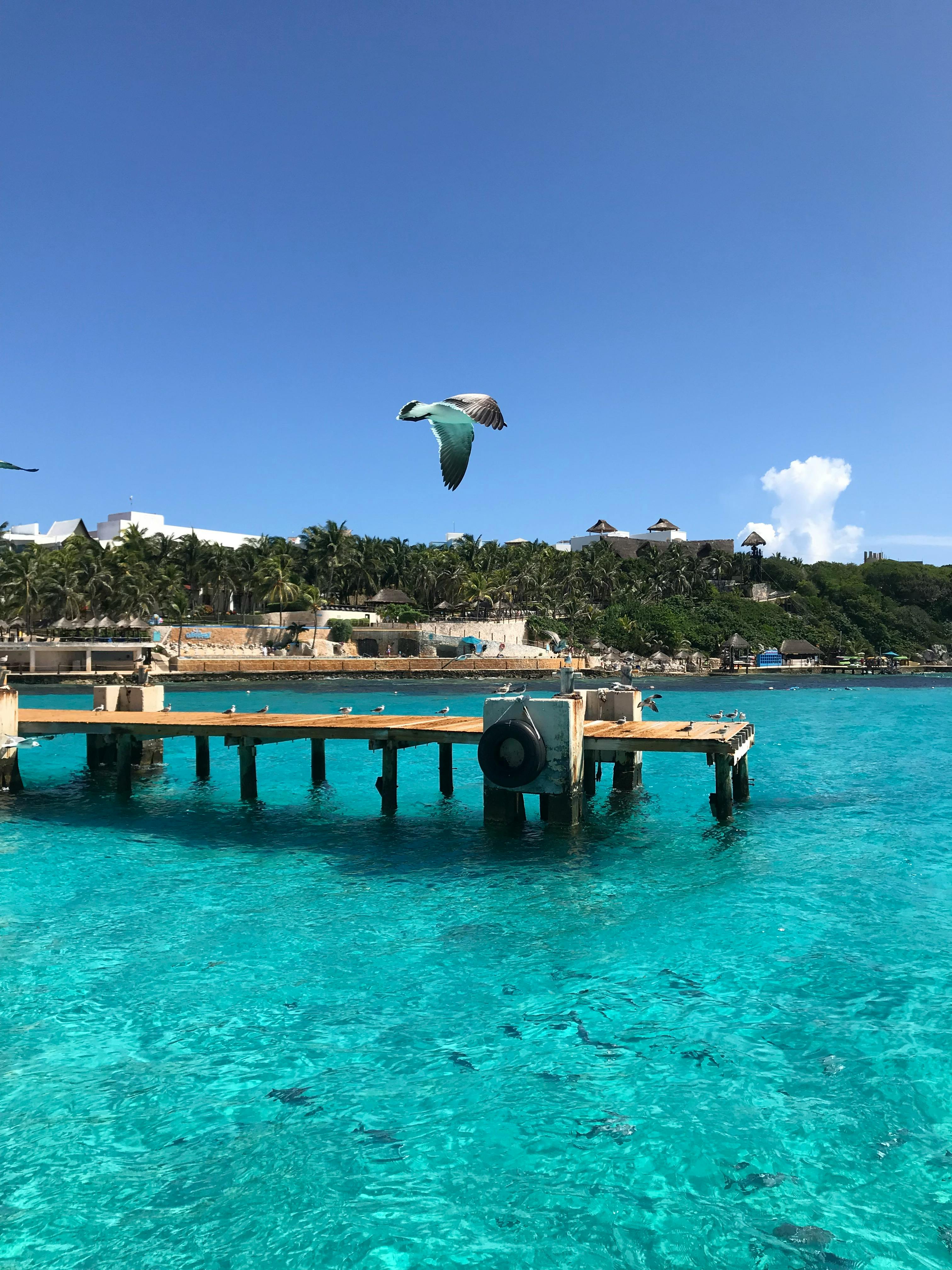 Blue Cartoon Photos, Download The BEST Free Blue Cartoon Stock Photos ...