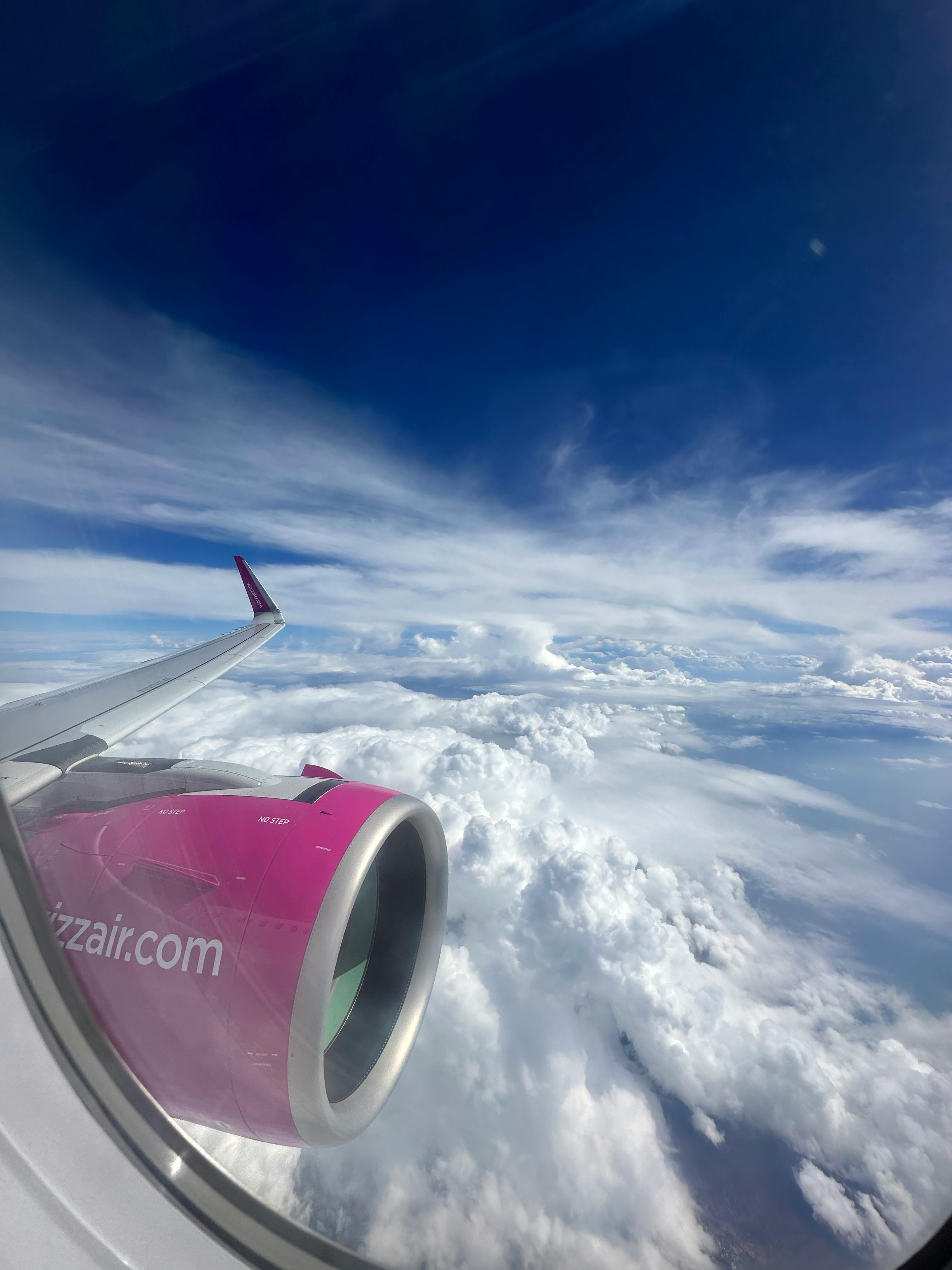 Foto de stock gratuita sobre aerolínea, ala, ala horizontal, aleta ...