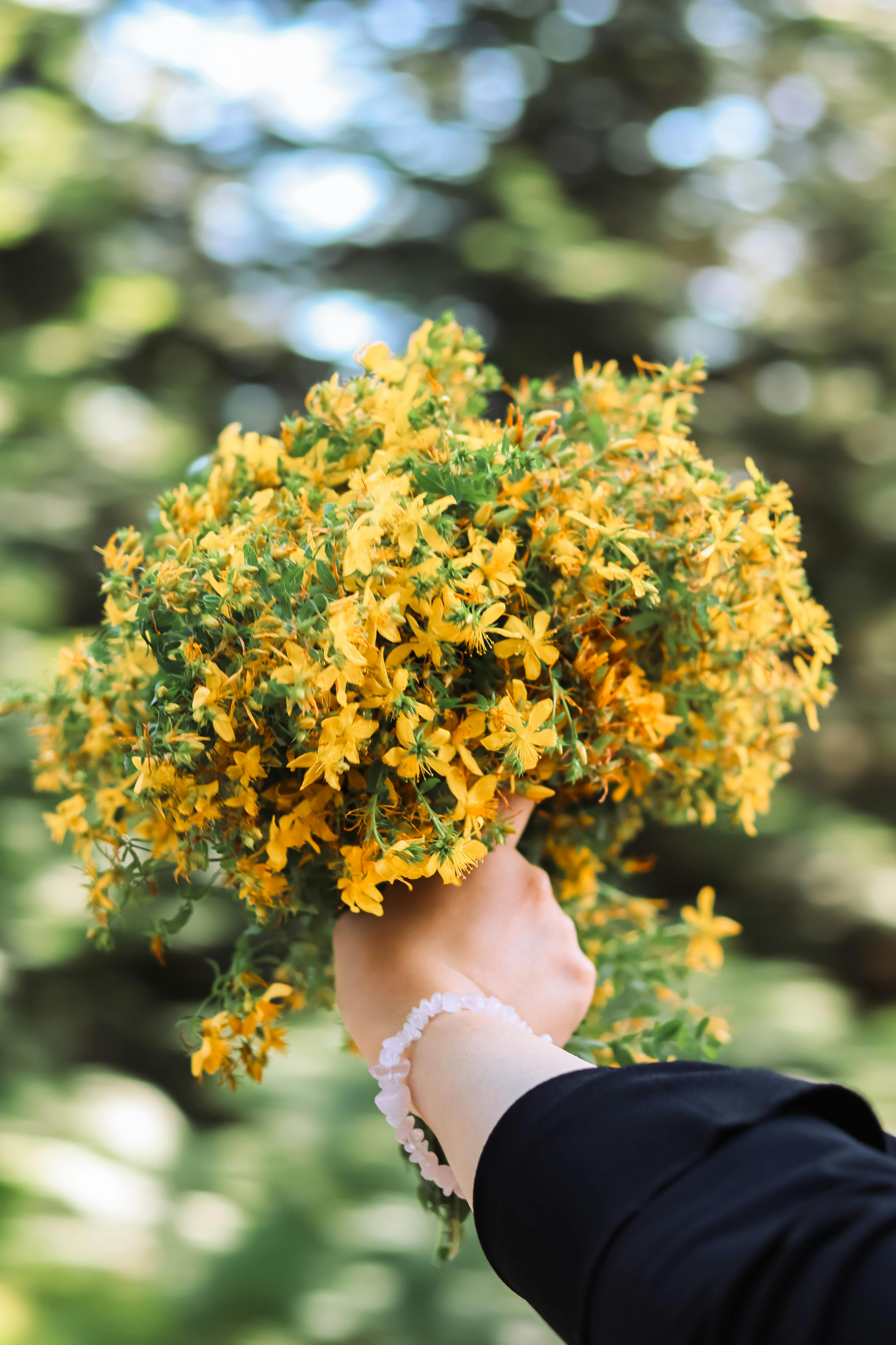 Hand Holding Bundle of Yellow Flowers · Free Stock Photo