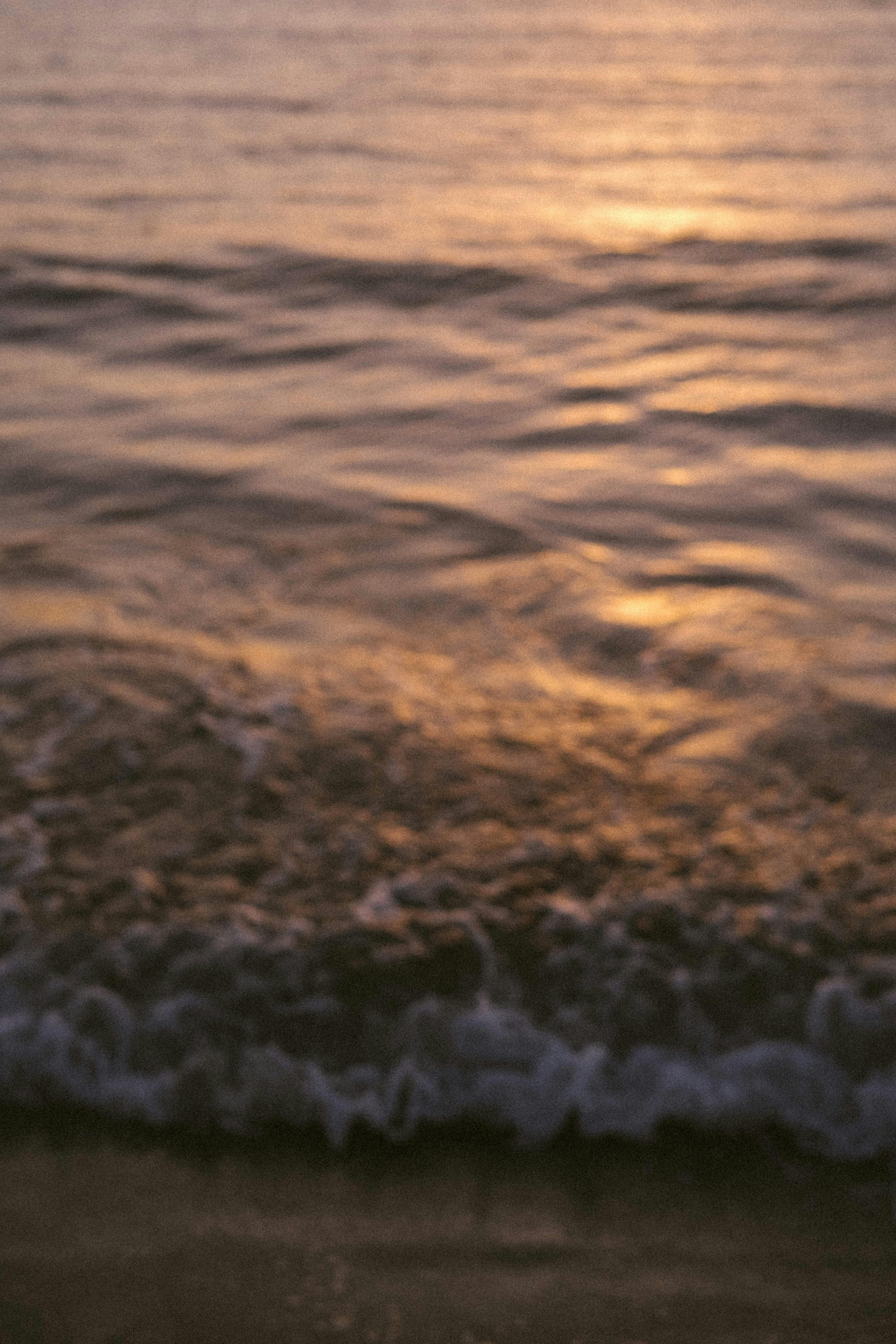 Shallow Water on Sea Shore at Sunset · Free Stock Photo