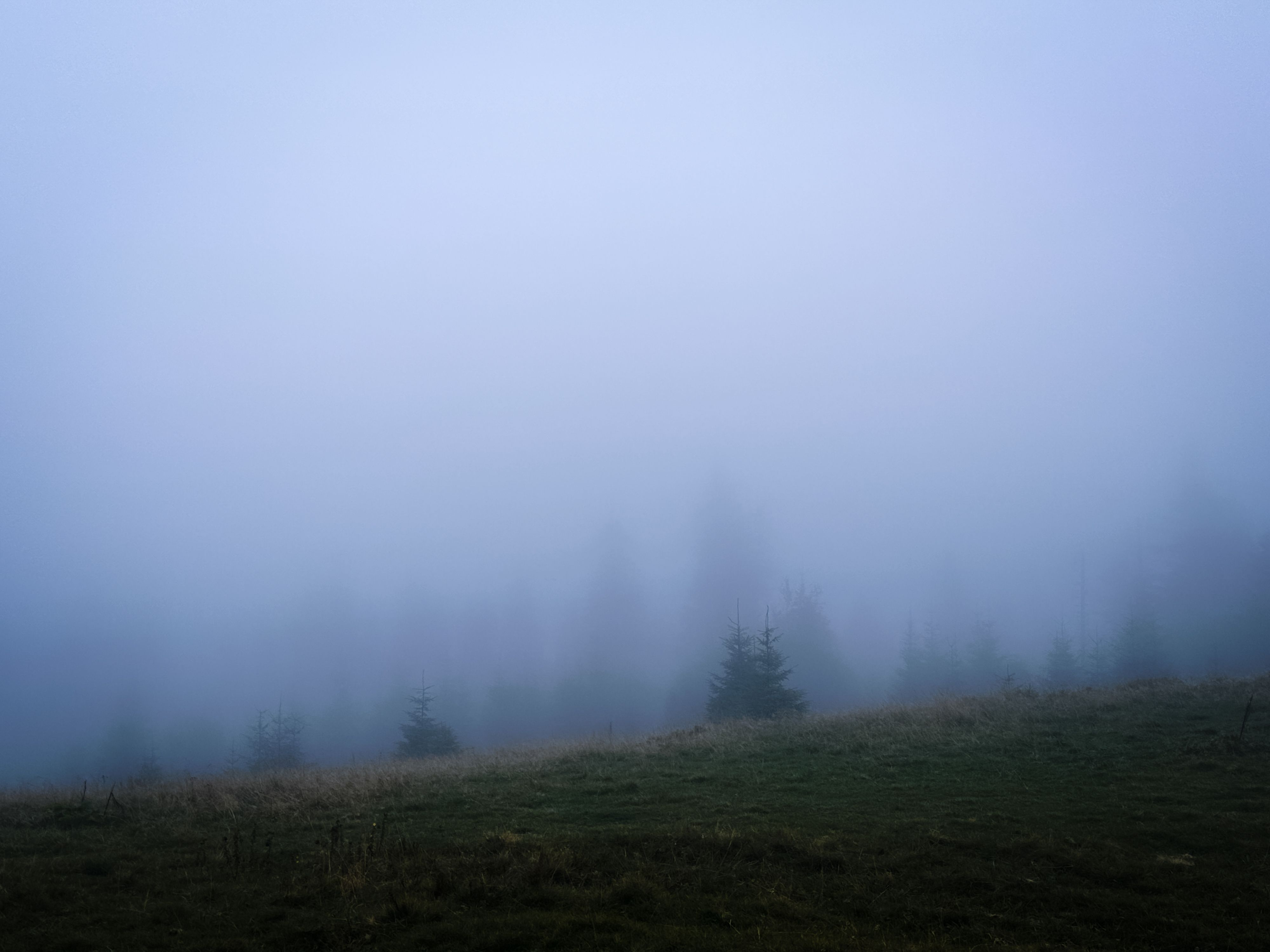 Lamberjack Photos, Download The BEST Free Lamberjack Stock Photos & HD ...