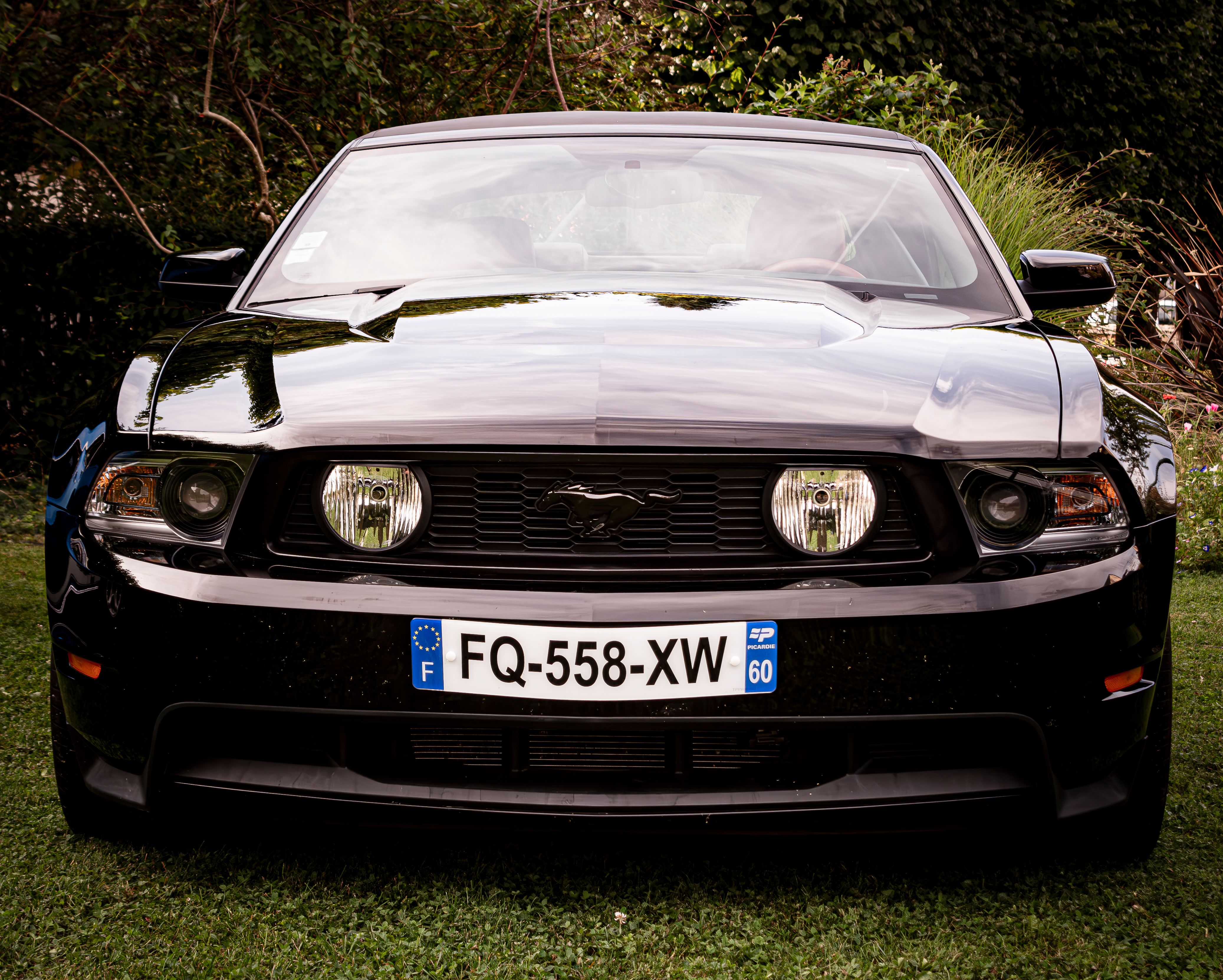Black Ford Mustang · Free Stock Photo