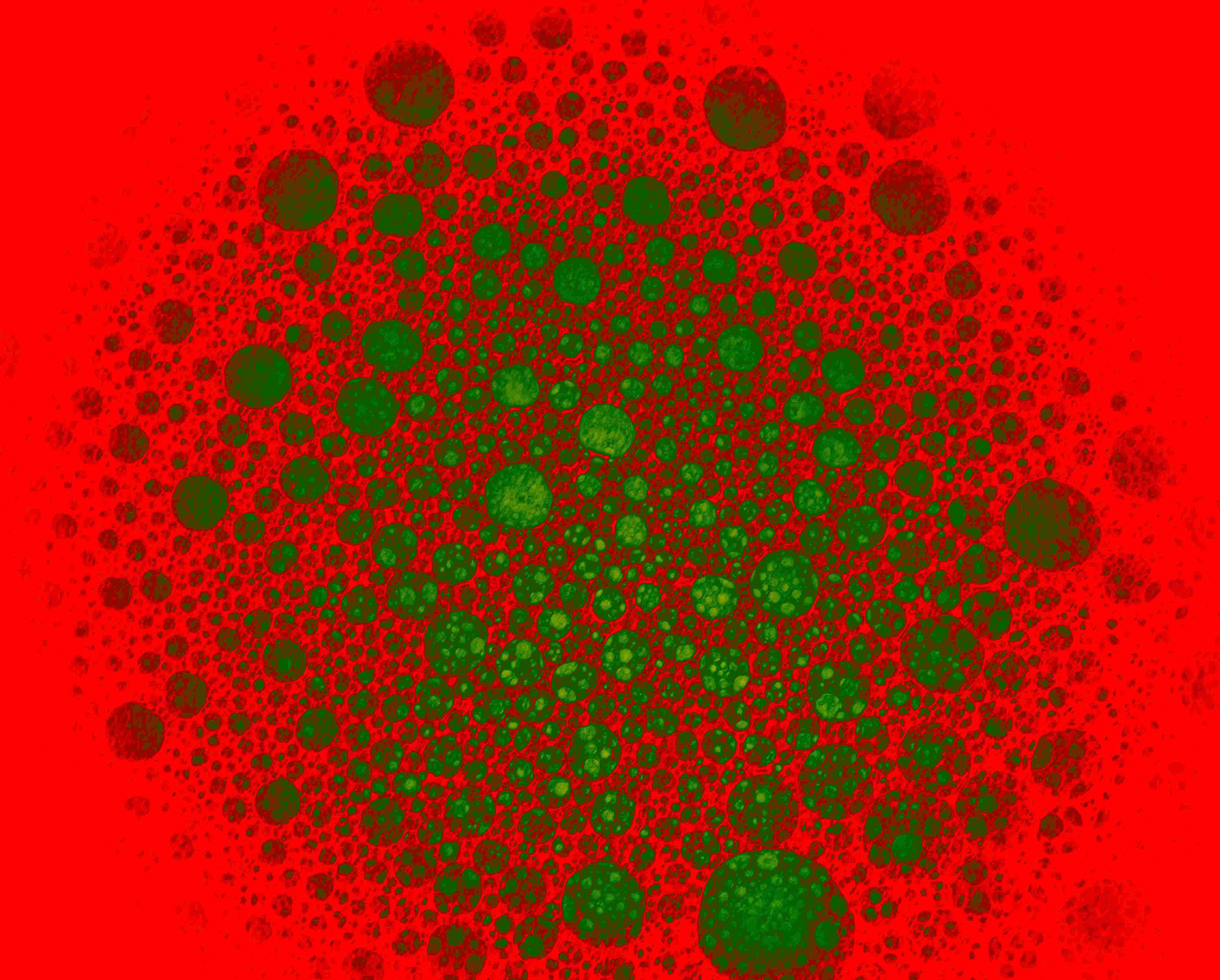 Red and Green Abstract Painting · Free Stock Photo