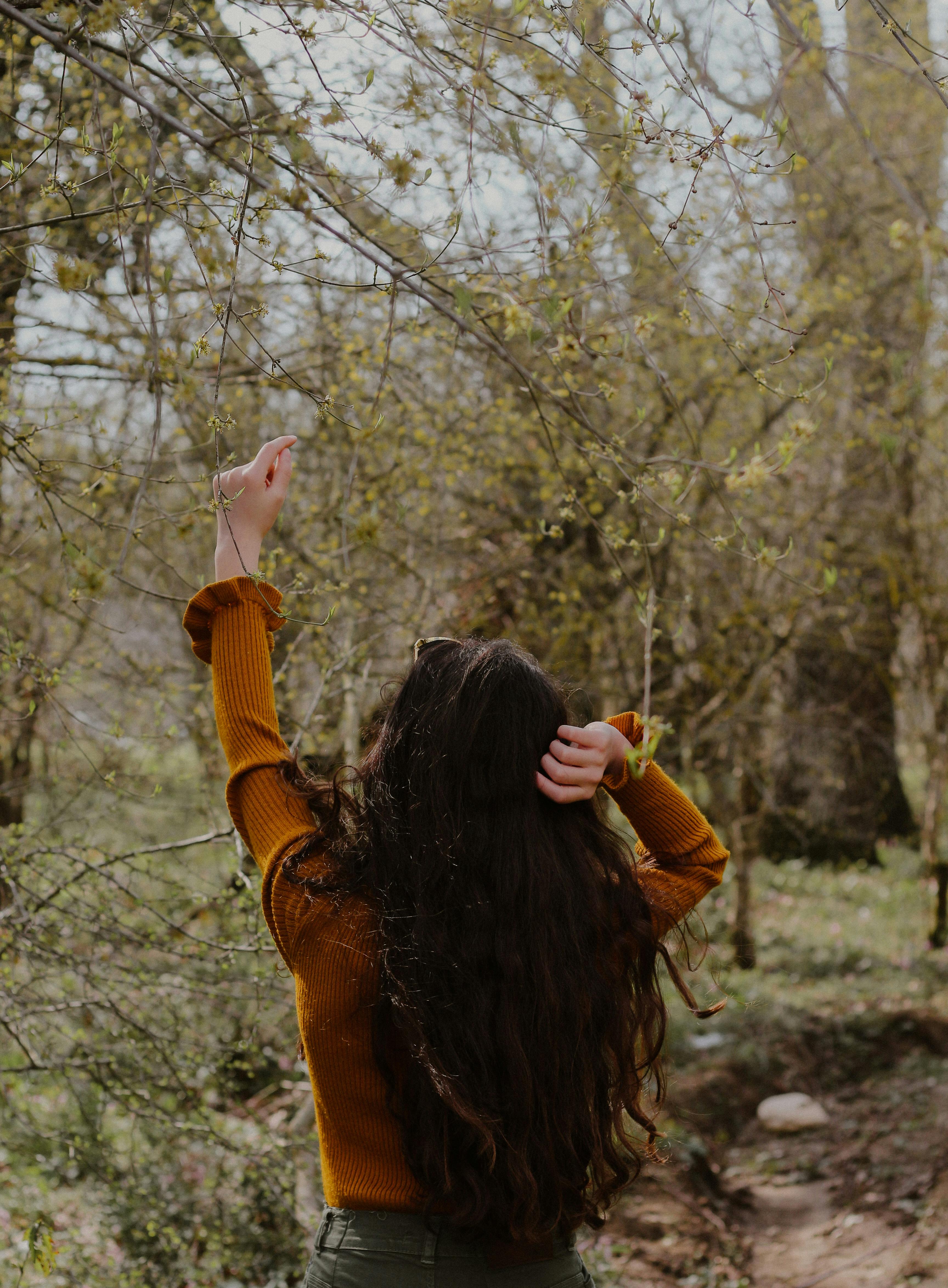 Back View of Person Touching a Tree · Free Stock Photo