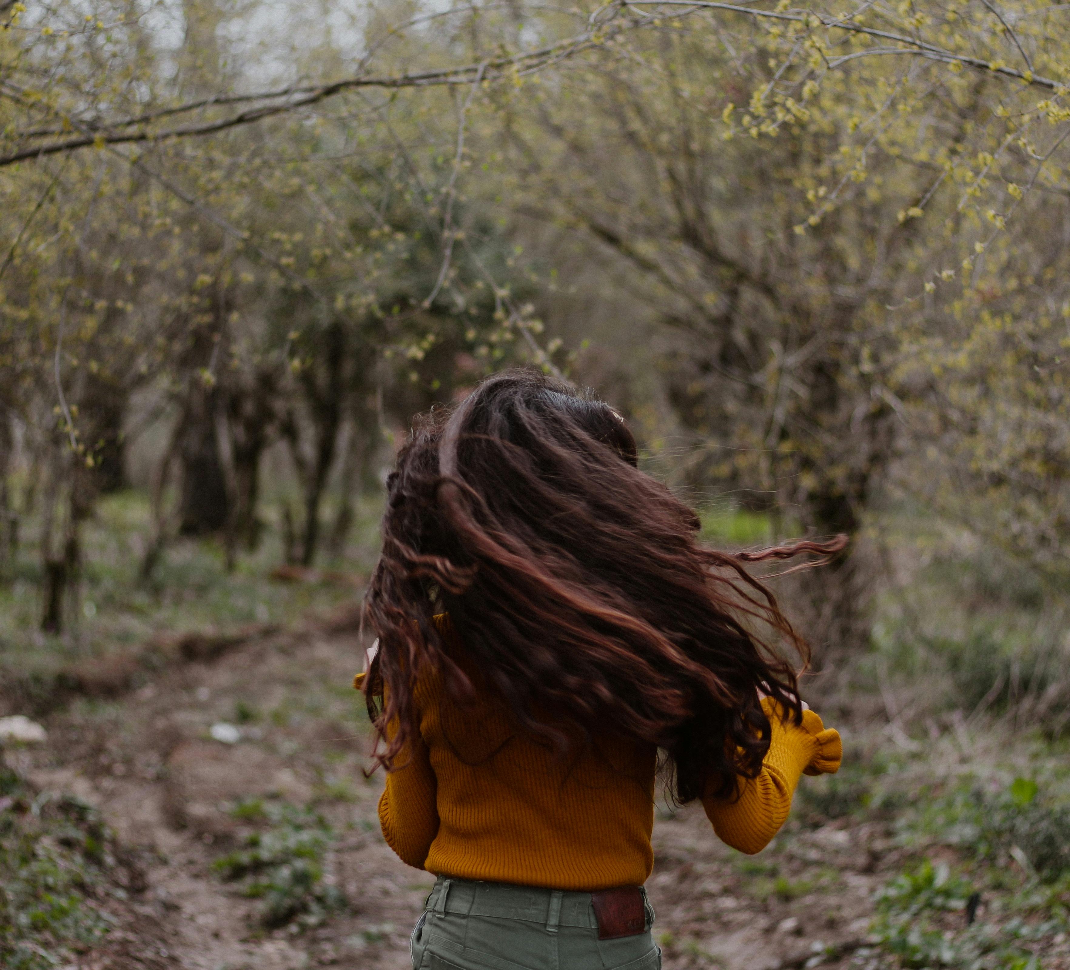 Back View of Person Walking Between Trees · Free Stock Photo