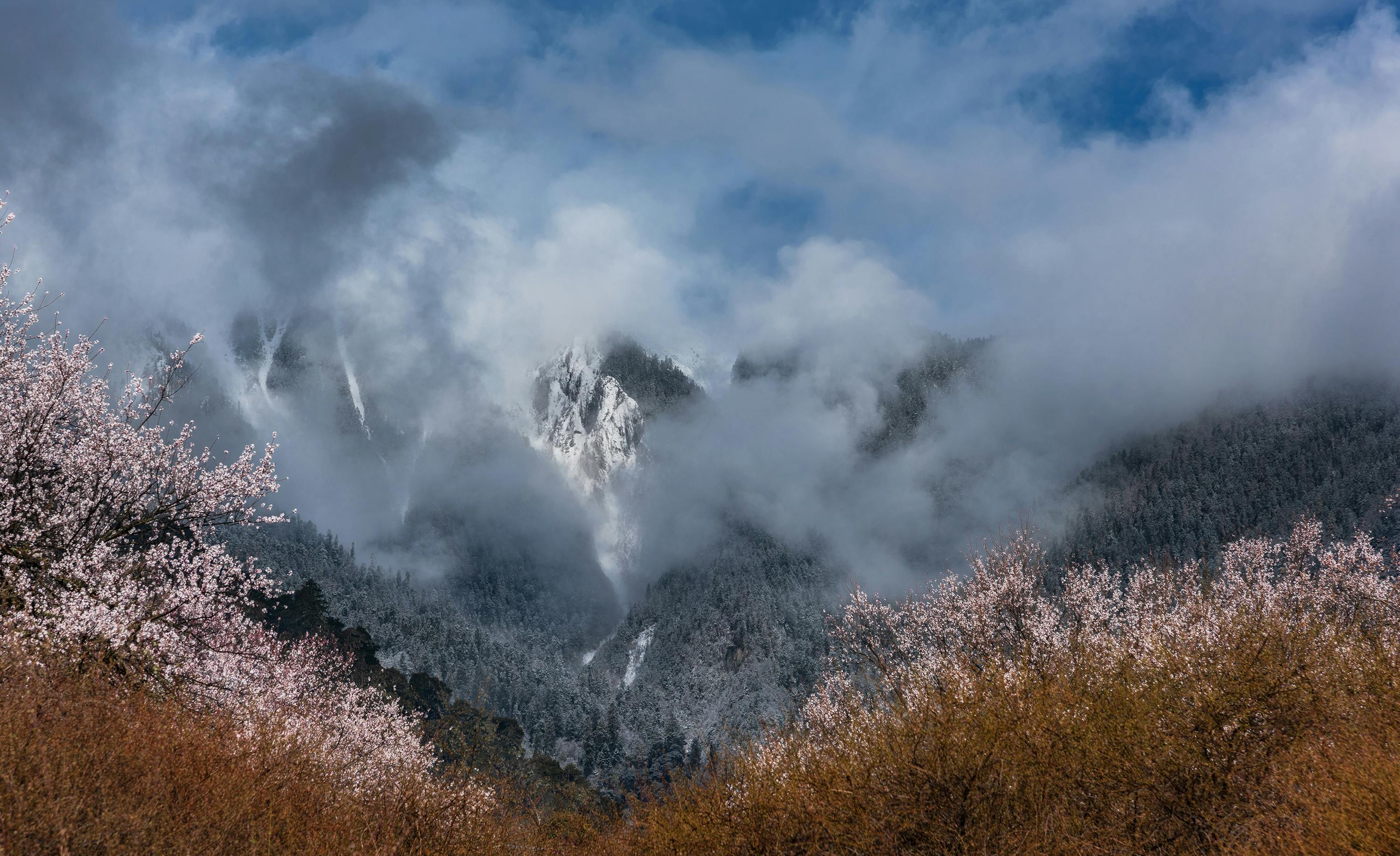 Compressed Spring Photos, Download The BEST Free Compressed Spring ...