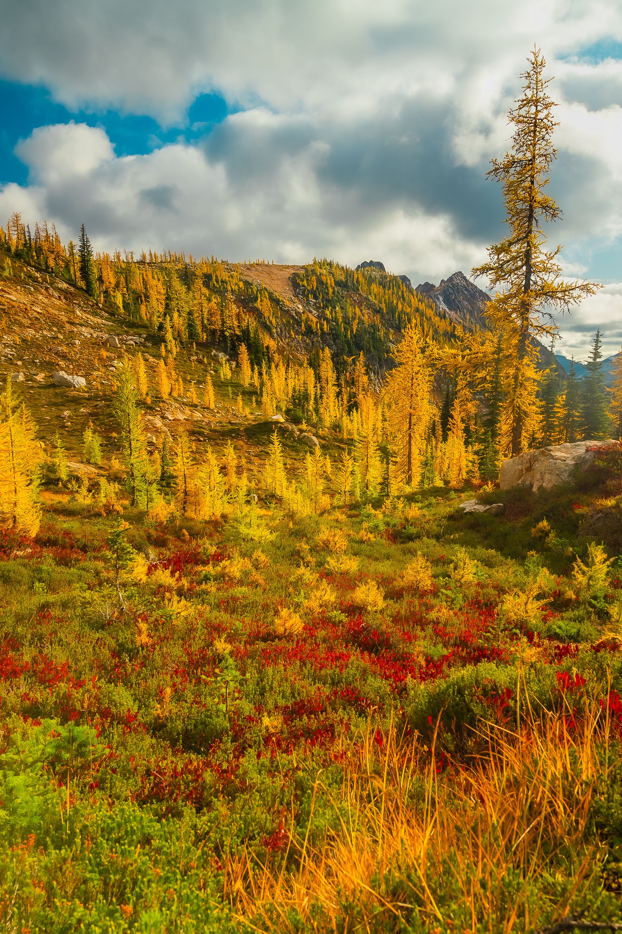 Colorful Autumn Mountain Landscape · Free Stock Photo
