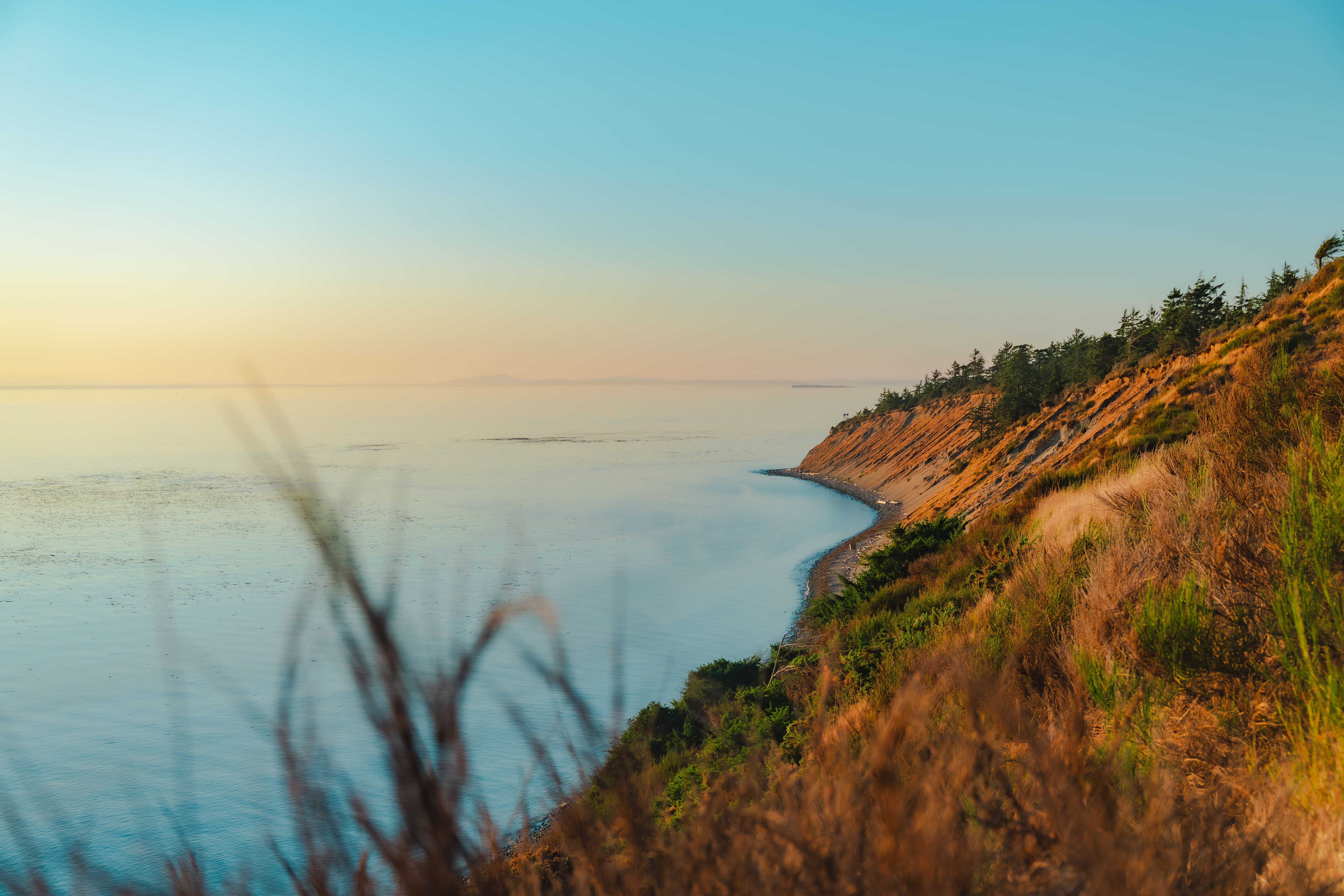 Seashore at Dawn · Free Stock Photo