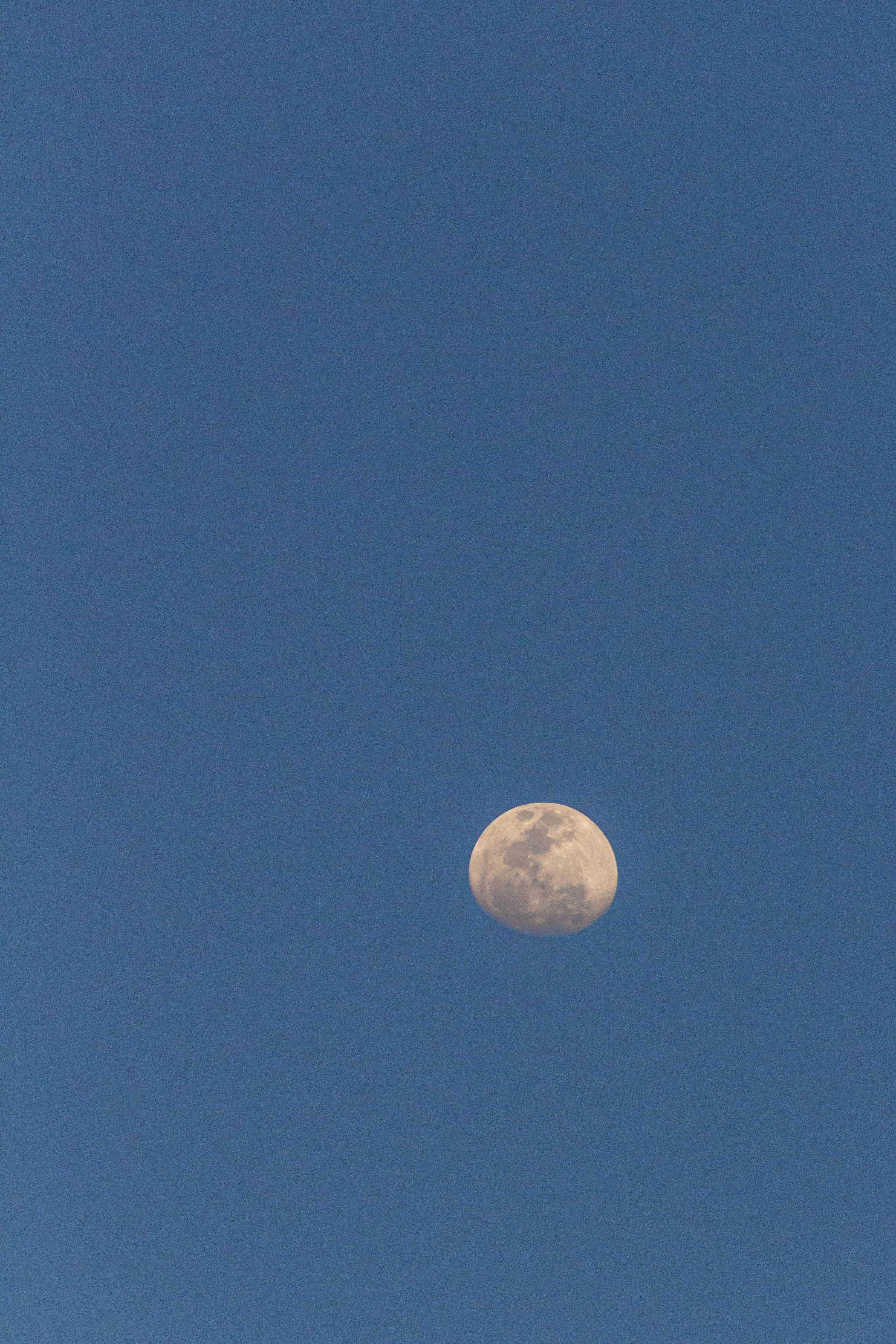 Full Moon Light · Free Stock Photo