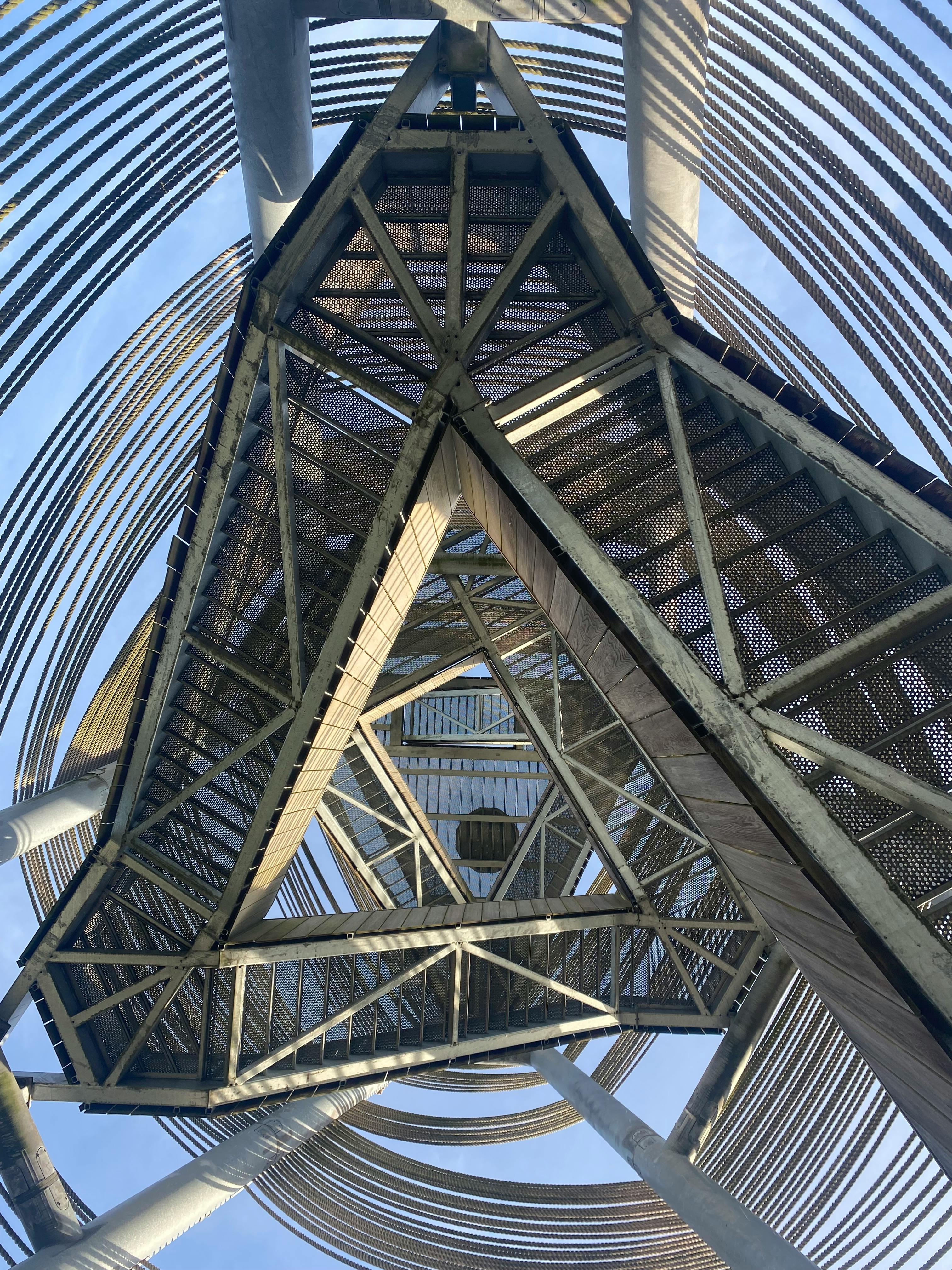 Metal Sheen Wallcovering Photos, Download The BEST Free Metal Sheen ...