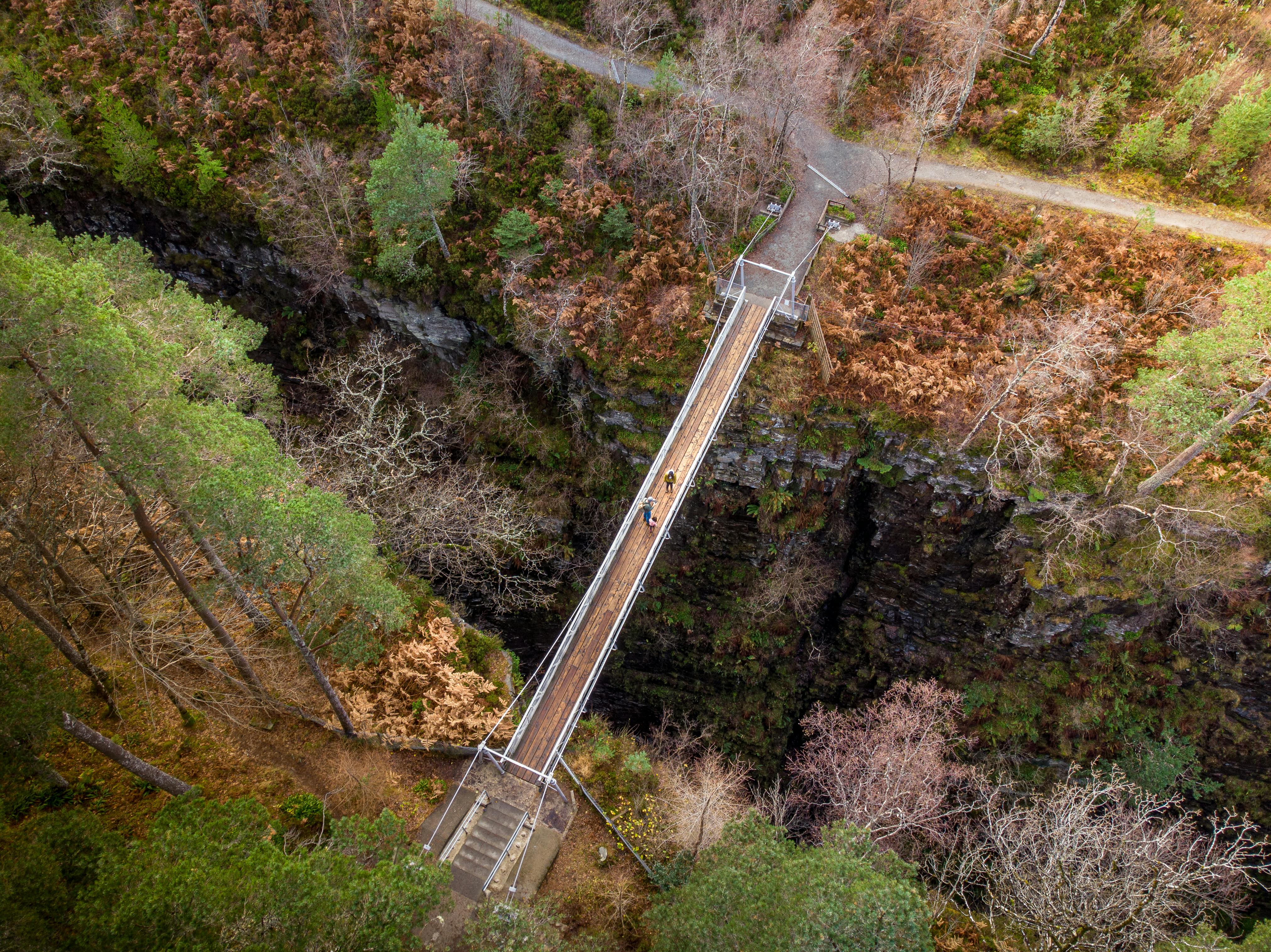Group of People on Hanging Bridge · Free Stock Photo