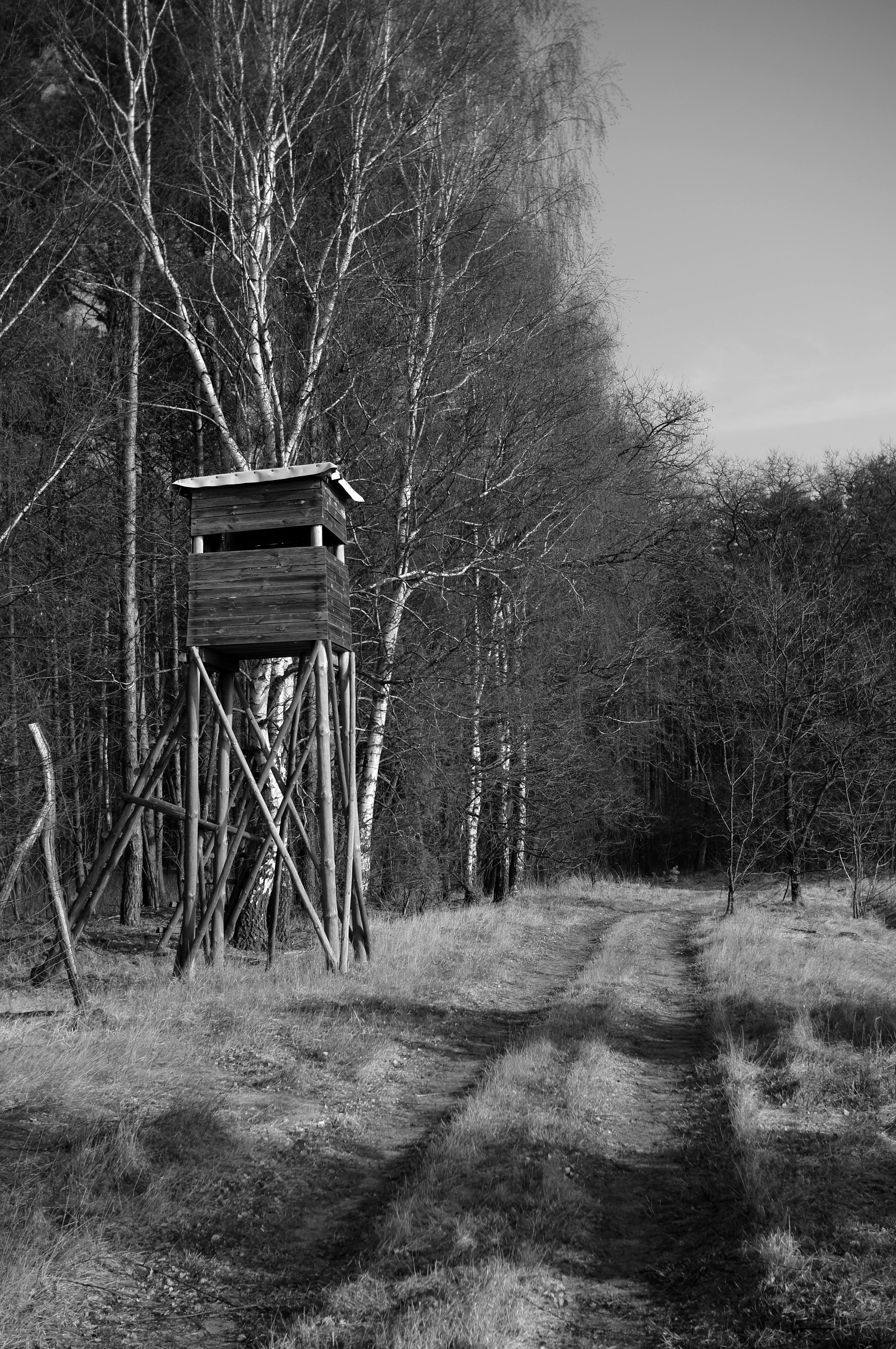 Wooden Hunting Tower on the Edge of the Forest by a Dirt Road · Free ...