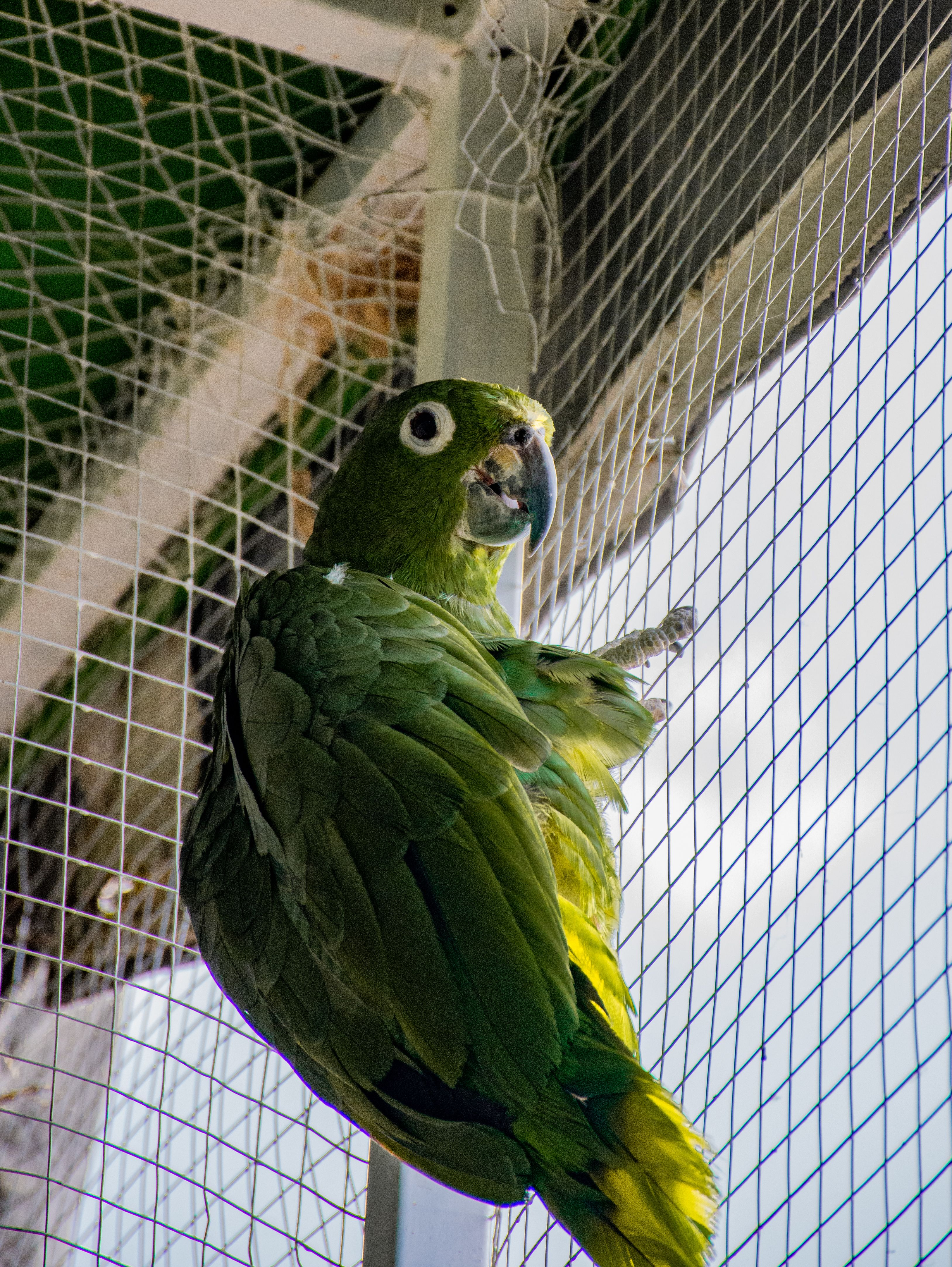 Tsc Photos, Download The BEST Free Tsc Stock Photos & HD Images