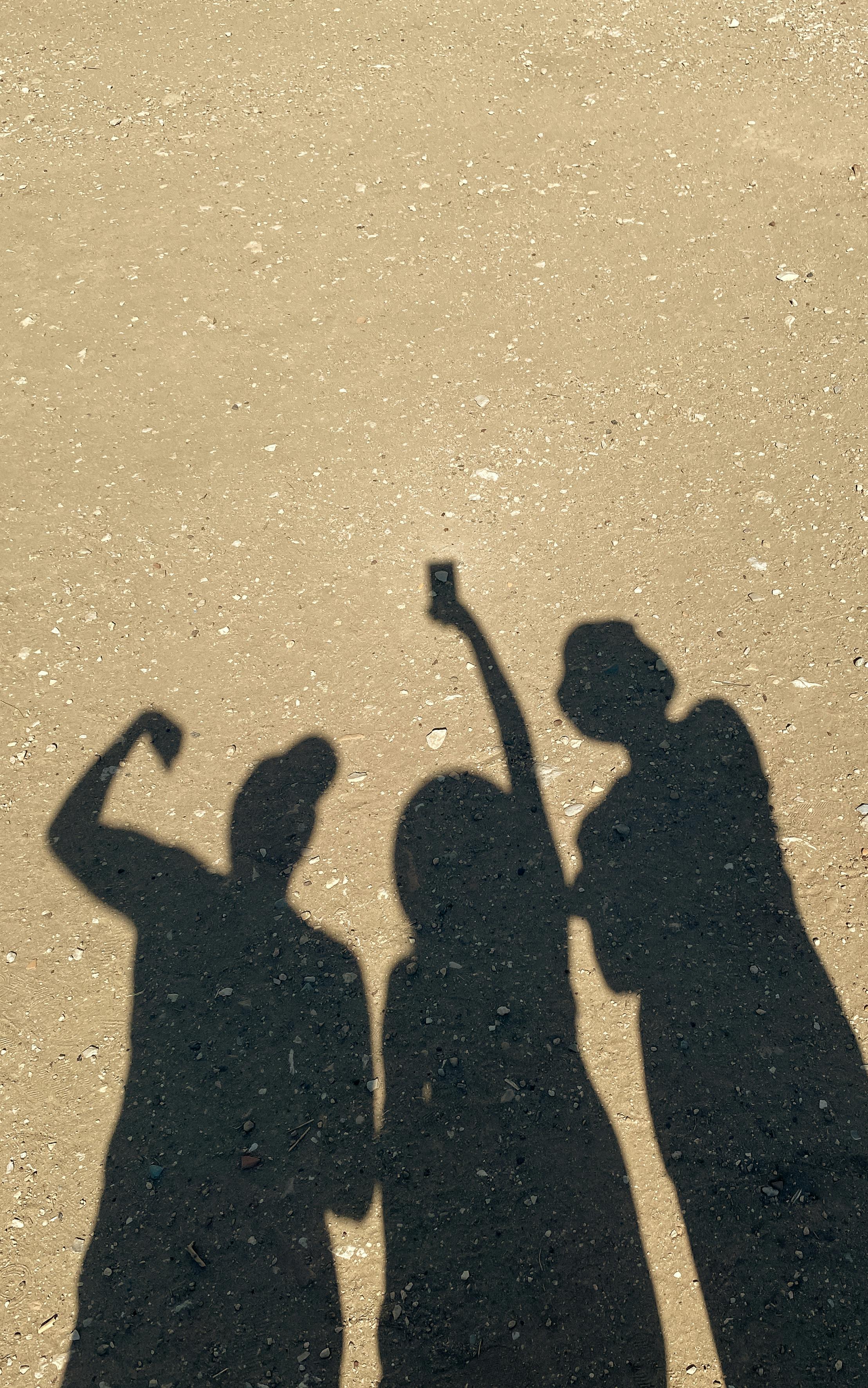 Shadow of Group of Friends on a Beach · Free Stock Photo