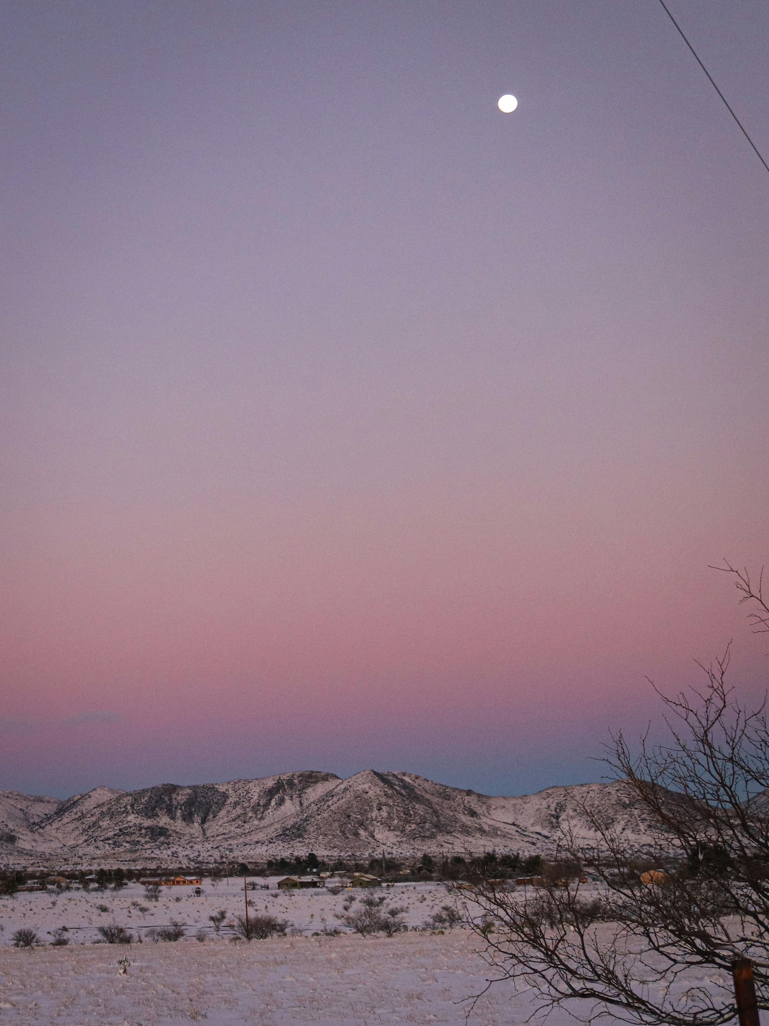 Pleine Lune Dans Un Beau Ciel Rosé Et Terrains Avec Arbres · Photo gratuite