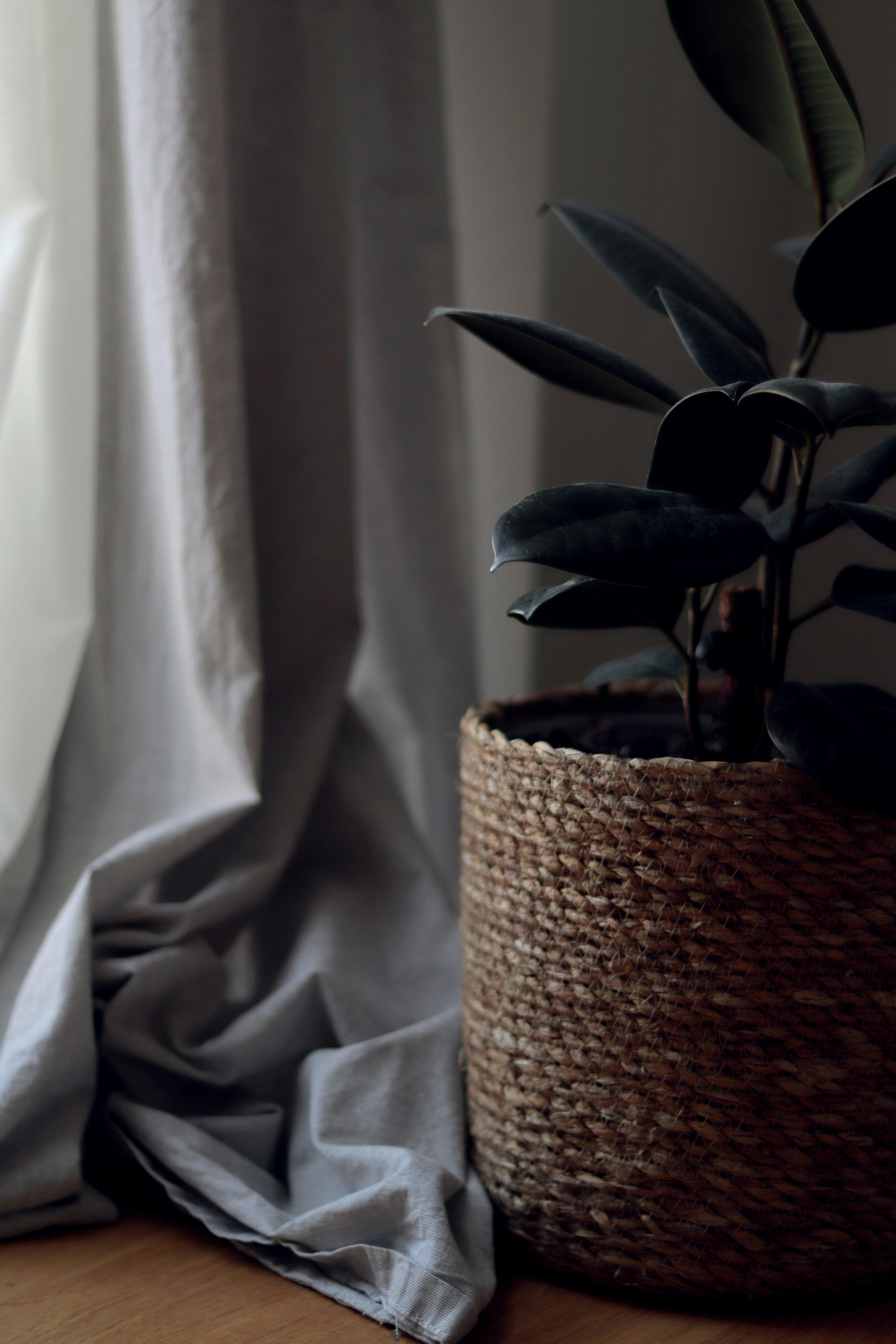 Stinky Room Photos, Download The BEST Free Stinky Room Stock Photos ...