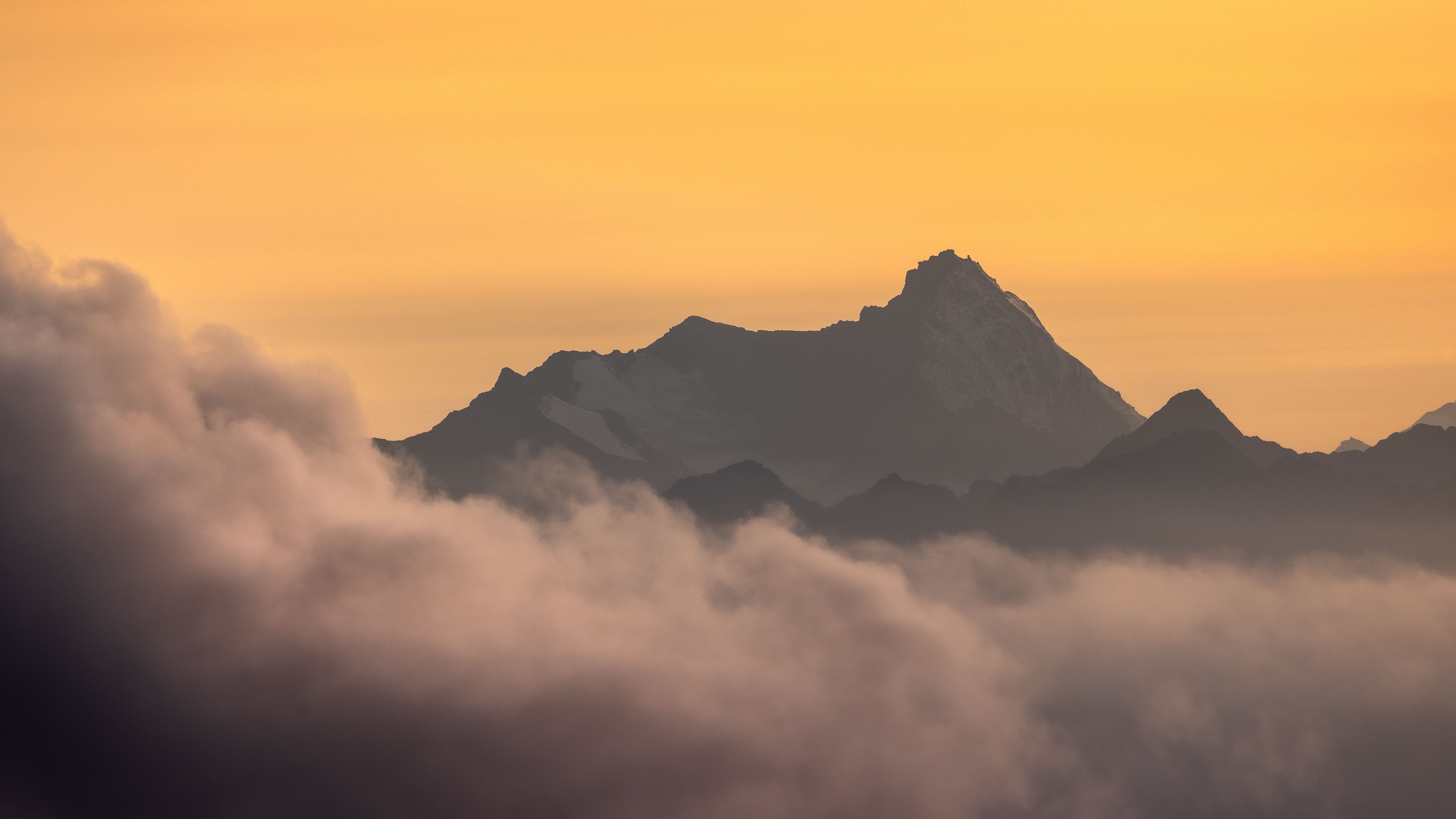 "Fluff" · Free Stock Photo