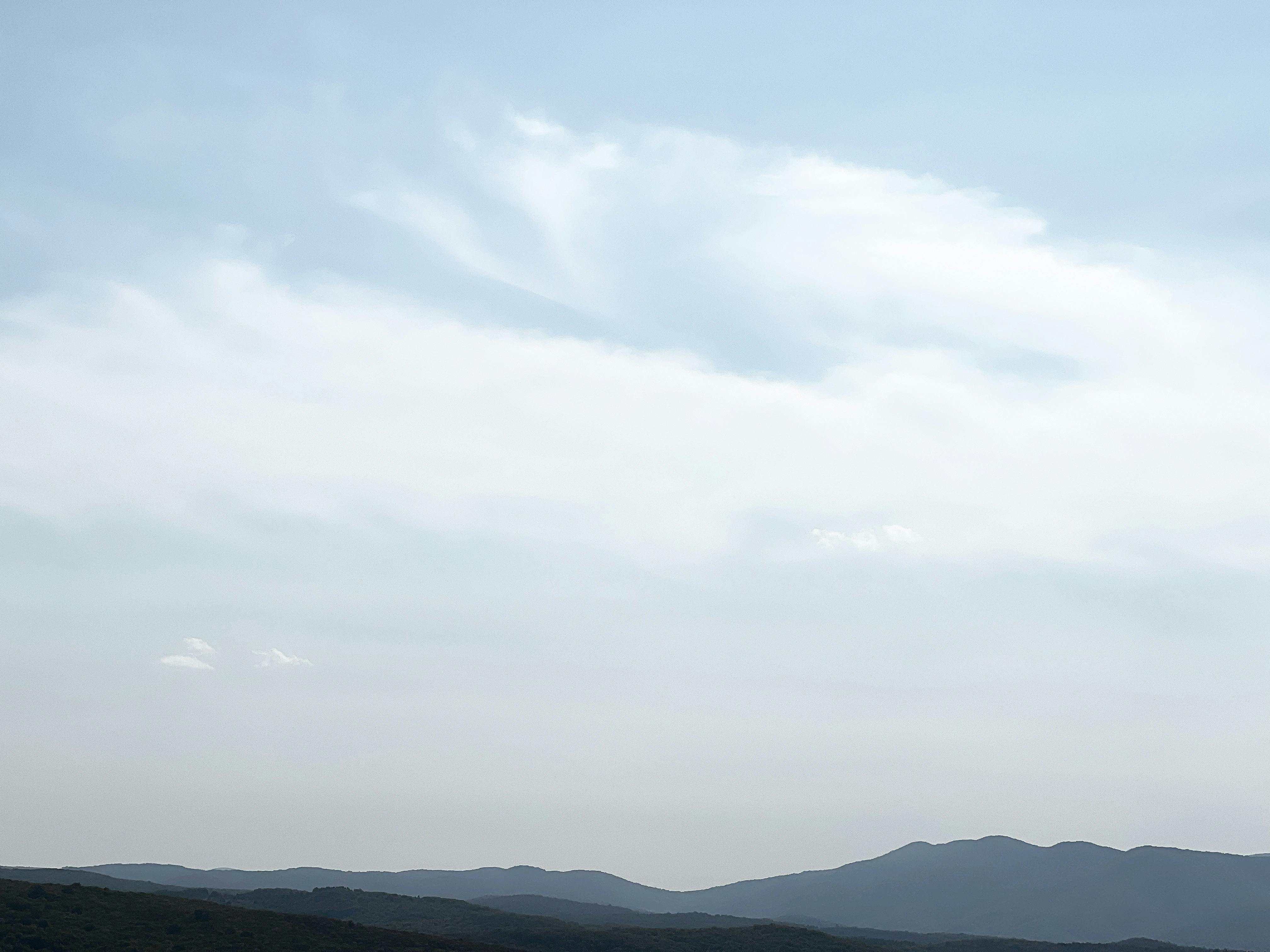 alexander ermakov - 写真