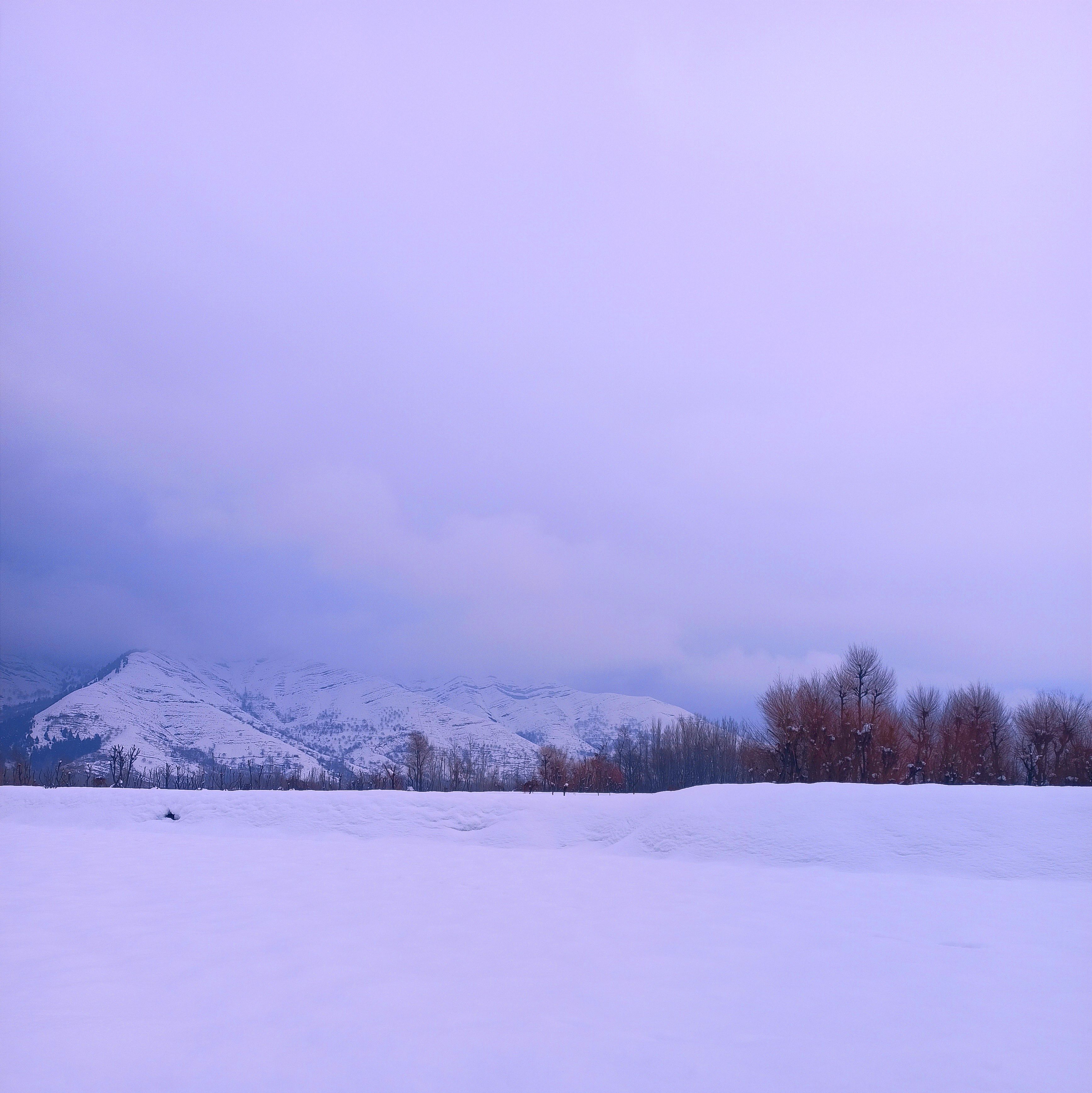 Lilac Toned Winter Landscape with Snow · Free Stock Photo
