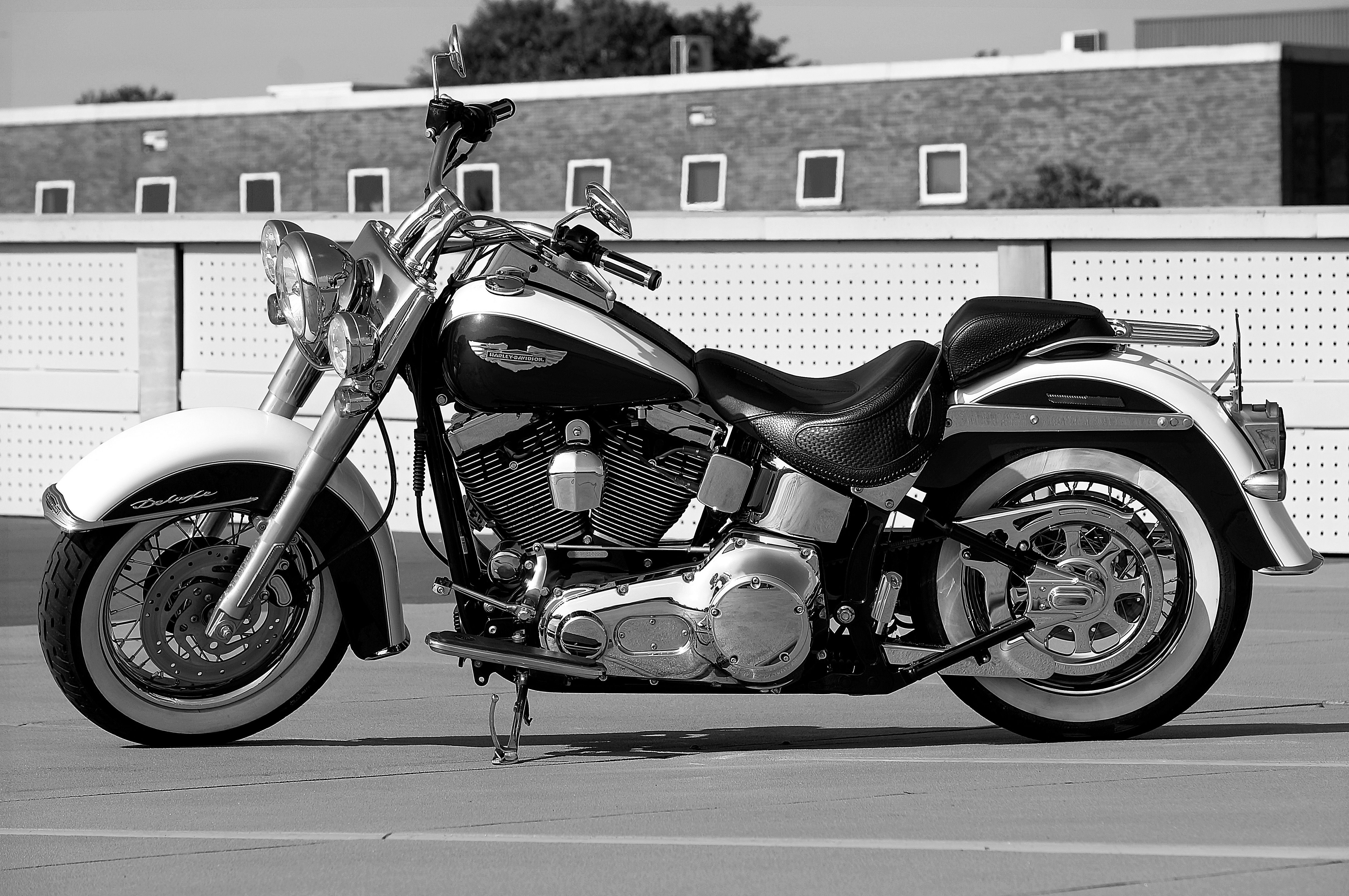 Harley Davidson Motorcycle · Free Stock Photo