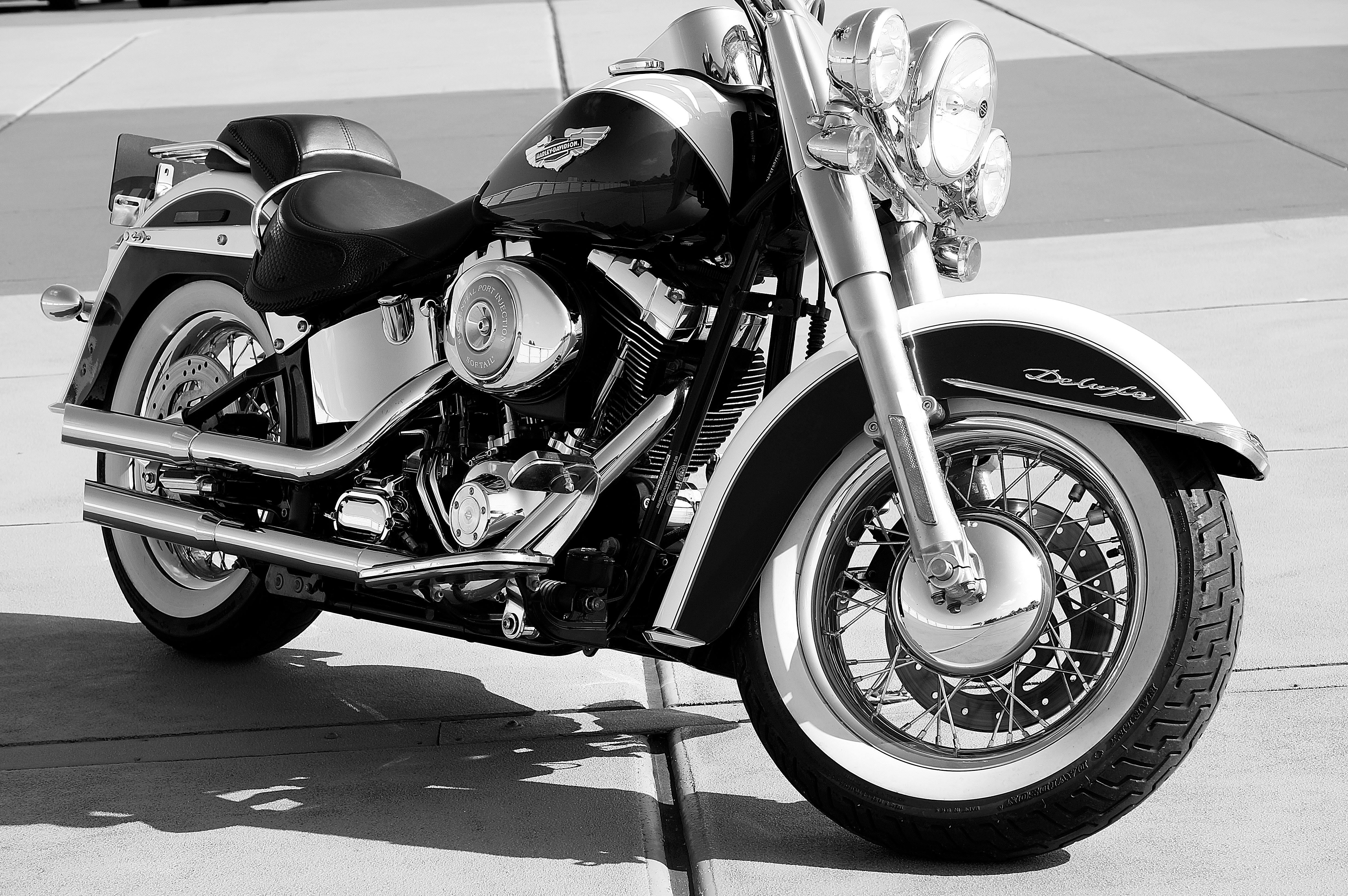 Harley Davidson · Free Stock Photo
