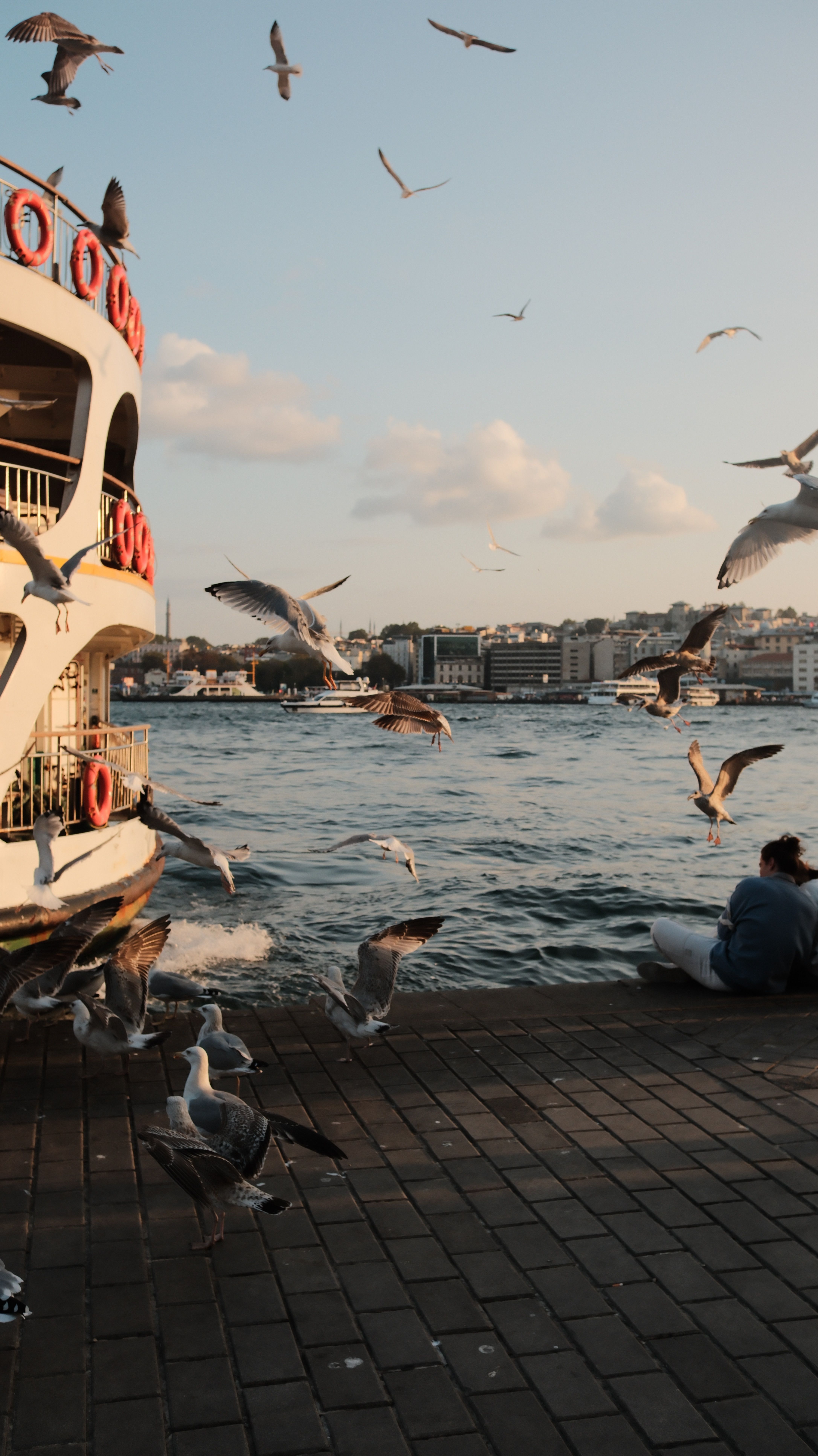 Ferry and Seagulls on a Pier · Free Stock Photo