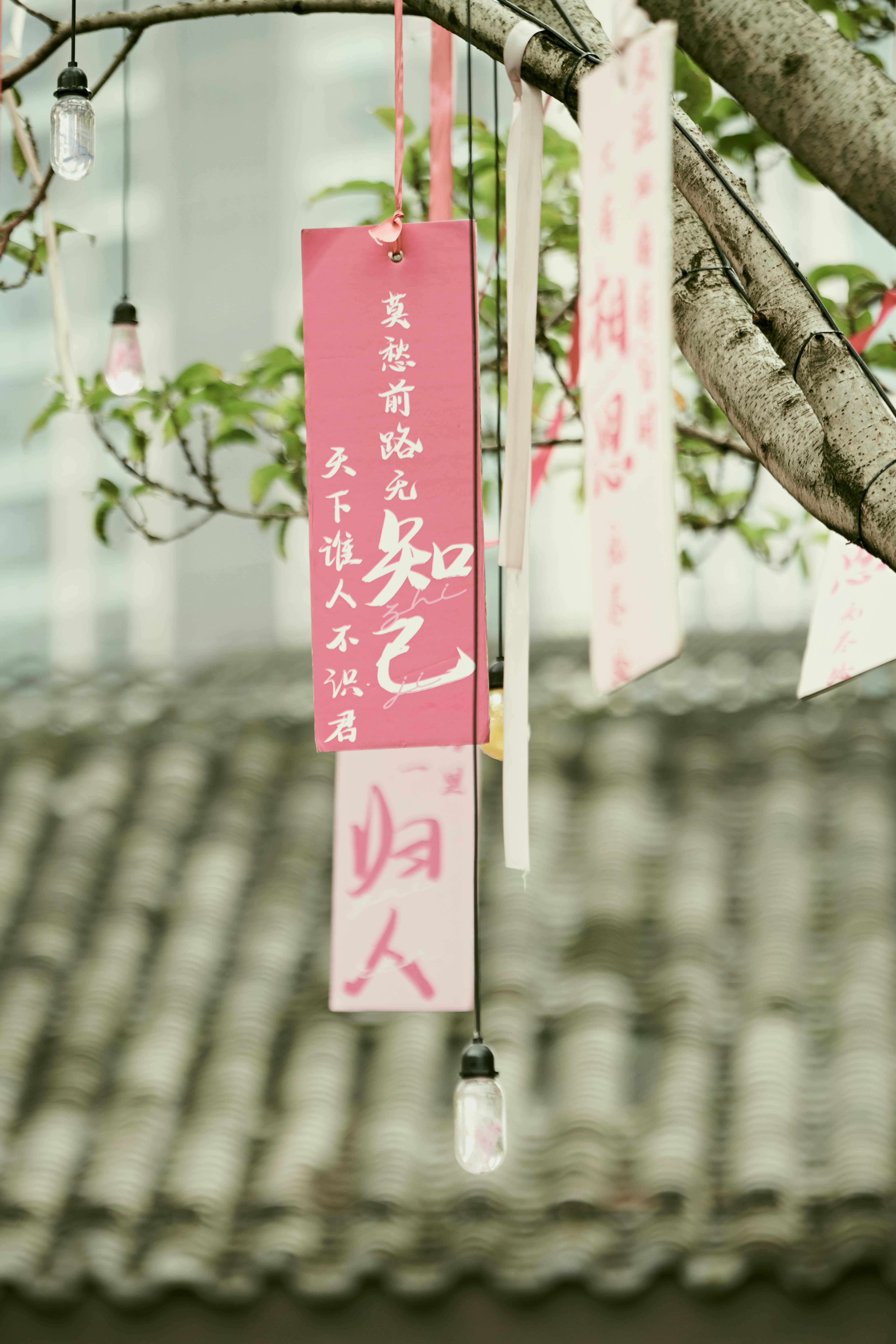 Decorations with Chinese Writing Hanging on the Tree Branches · Free ...