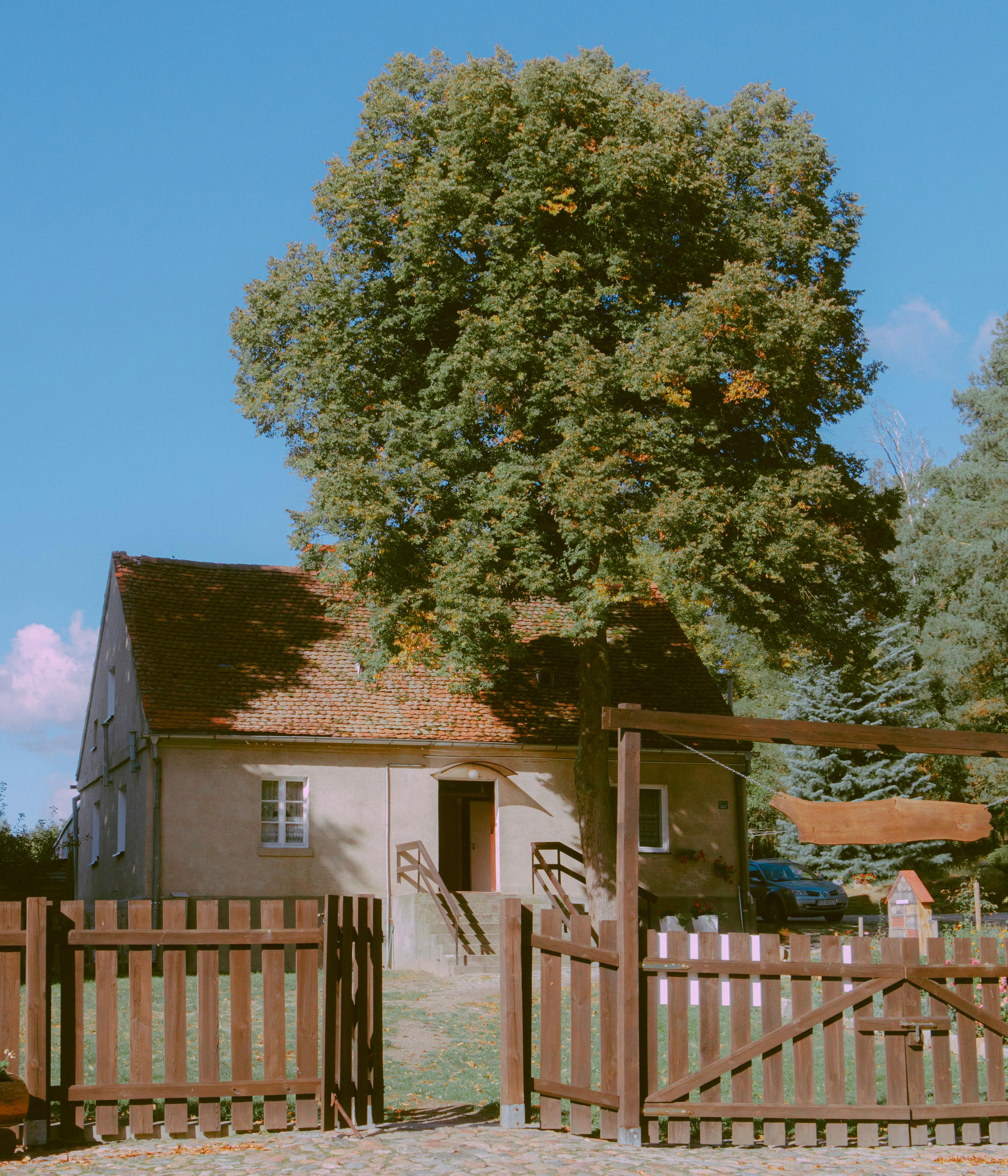 Tree over House in Village · Free Stock Photo