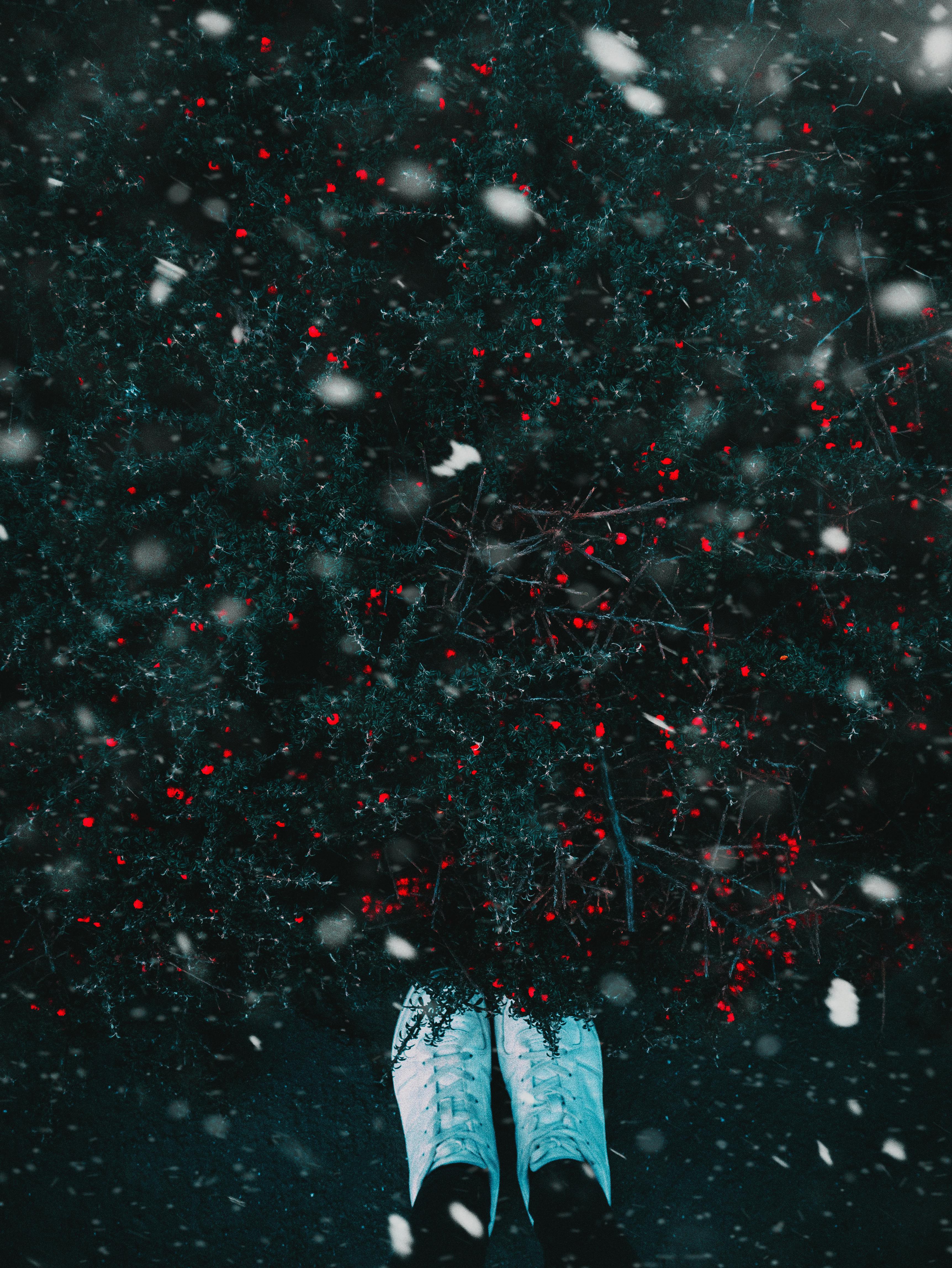 Cold Winter Night Tumblr