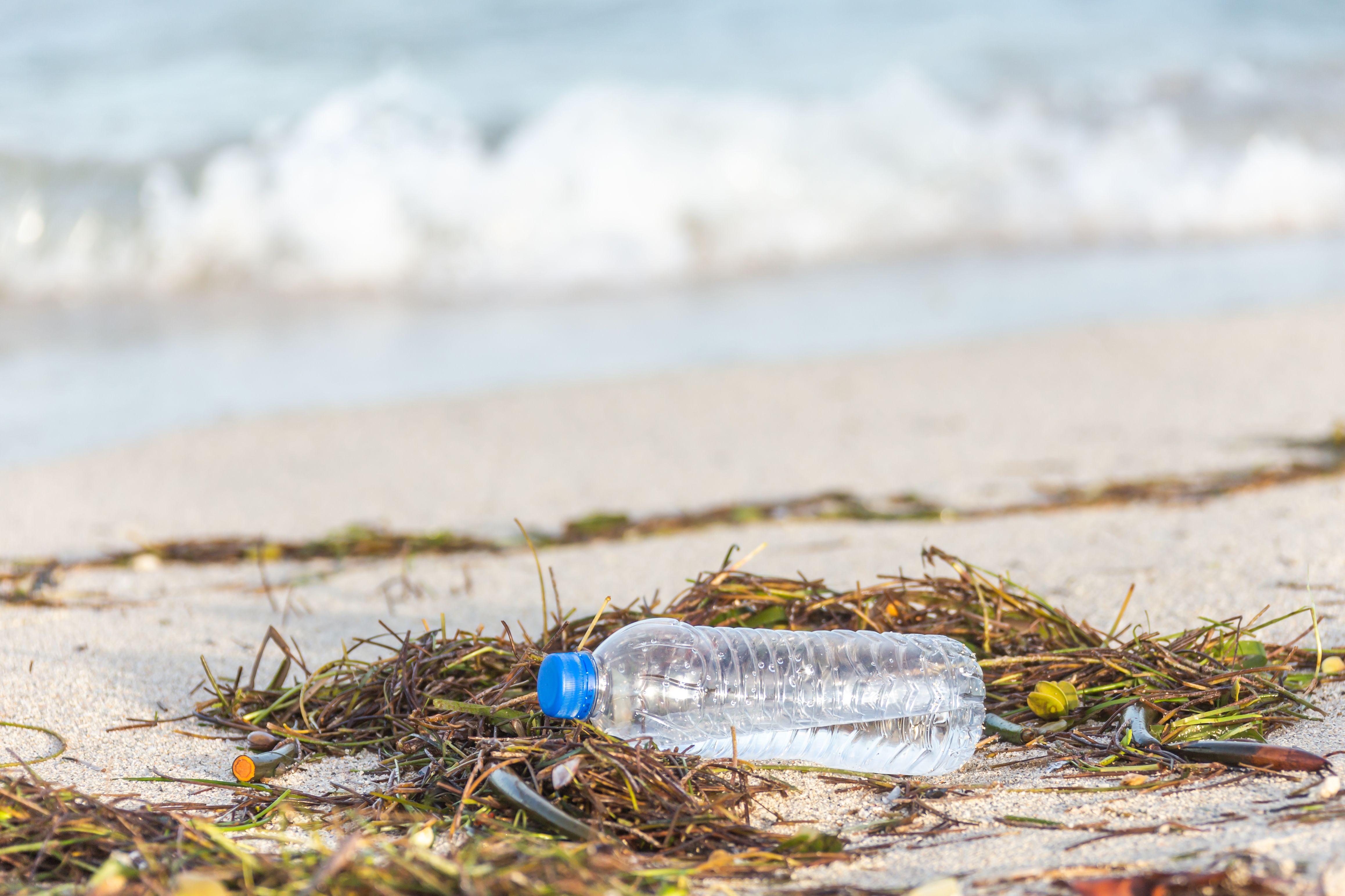 Degradation Of Plastics Photos, Download The BEST Free Degradation Of ...
