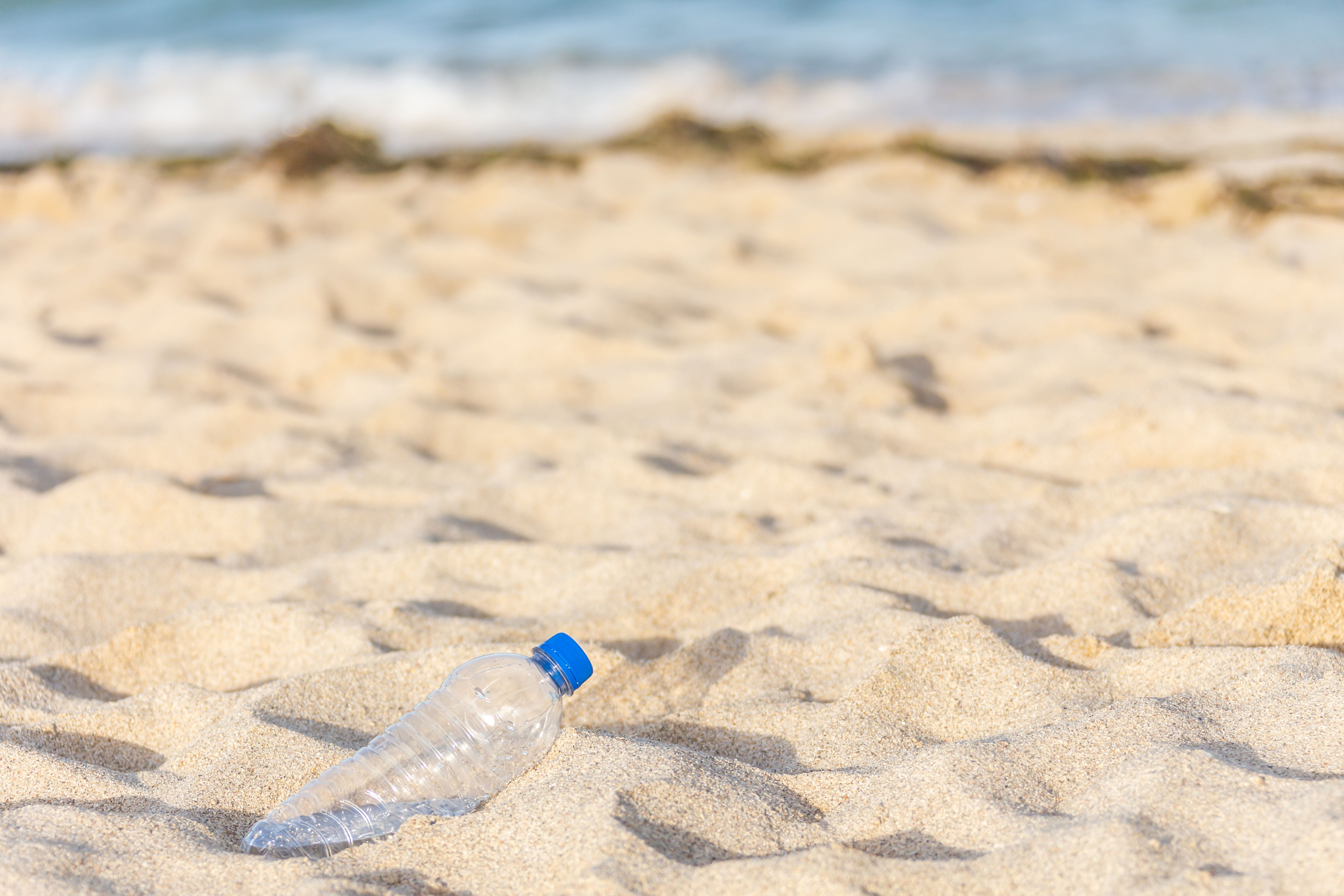 Littering Photos, Download The BEST Free Littering Stock Photos & HD Images