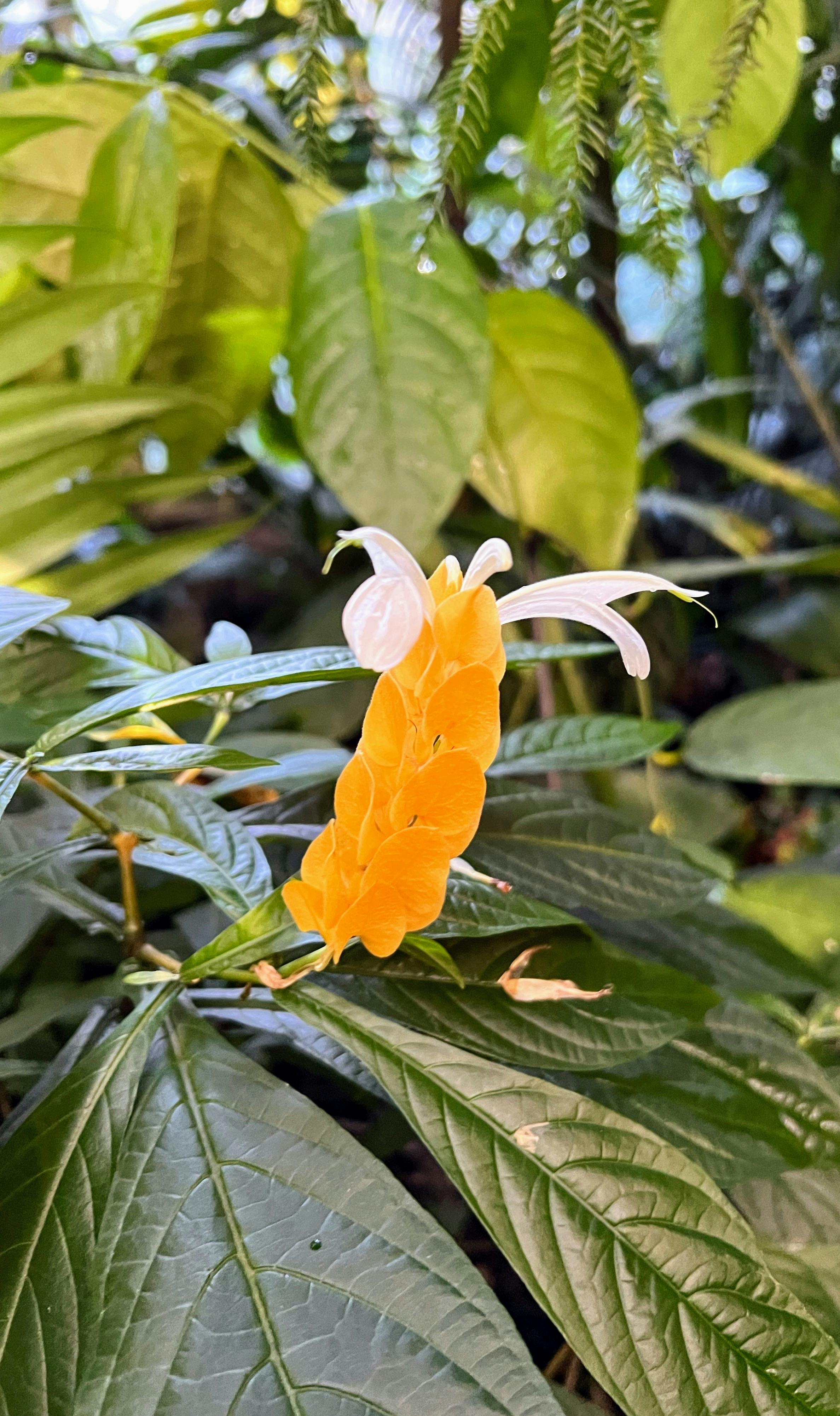 Nad Batayeh - Photography