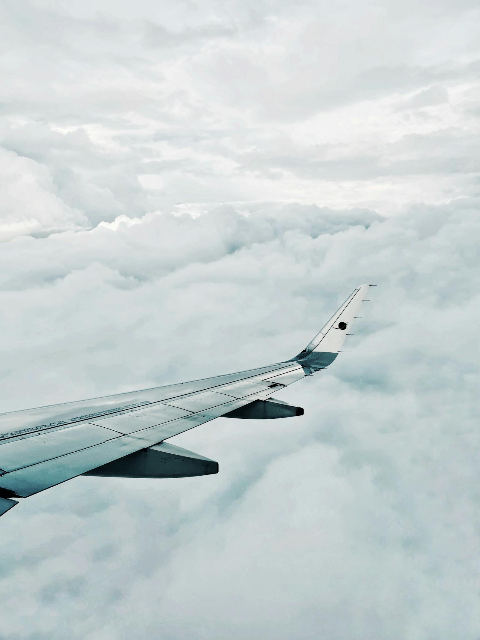 Flight Images Photos, Download The BEST Free Flight Images Stock Photos ...